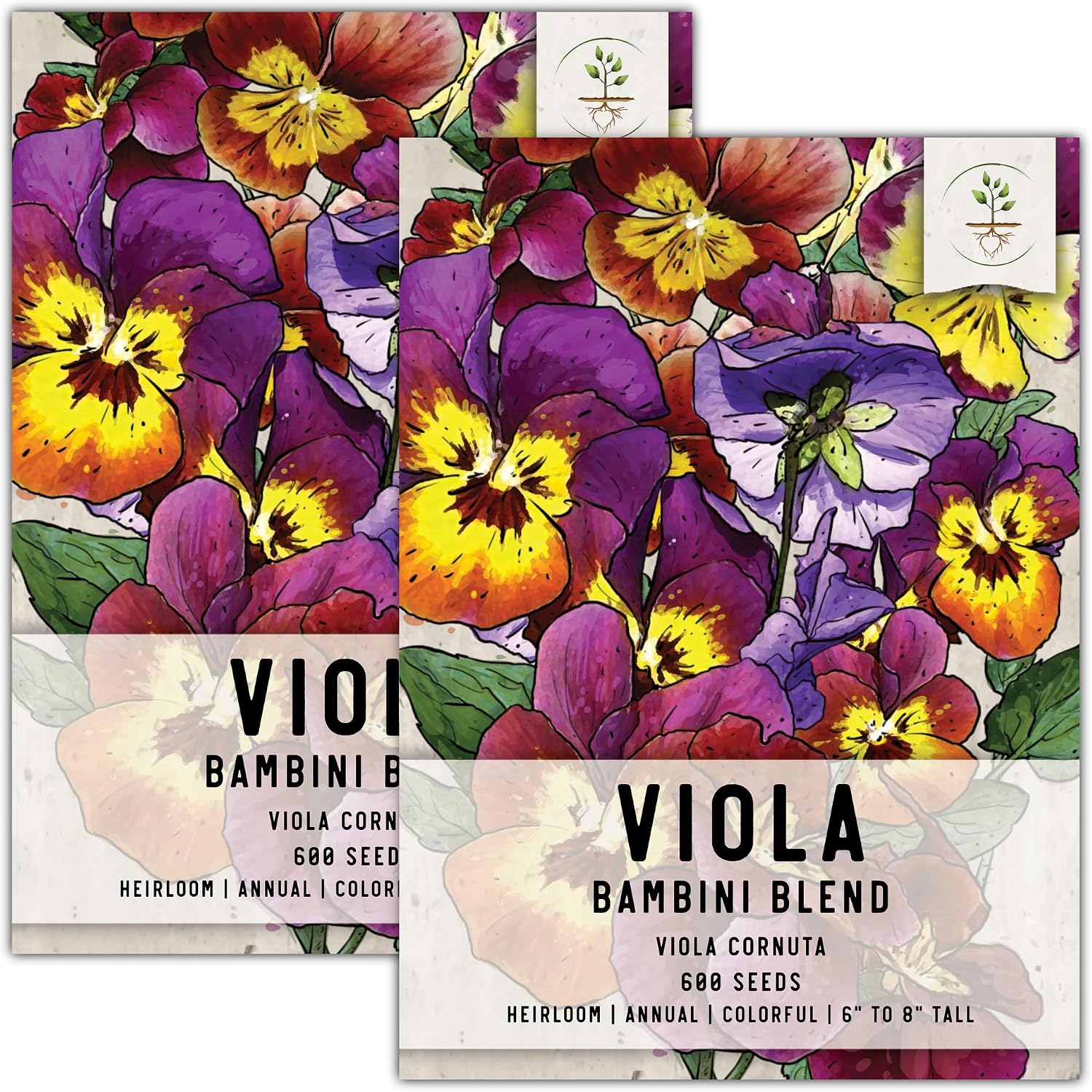 Amazon.com : Seed Needs Viola Seeds for Planting Bambini Violas ...