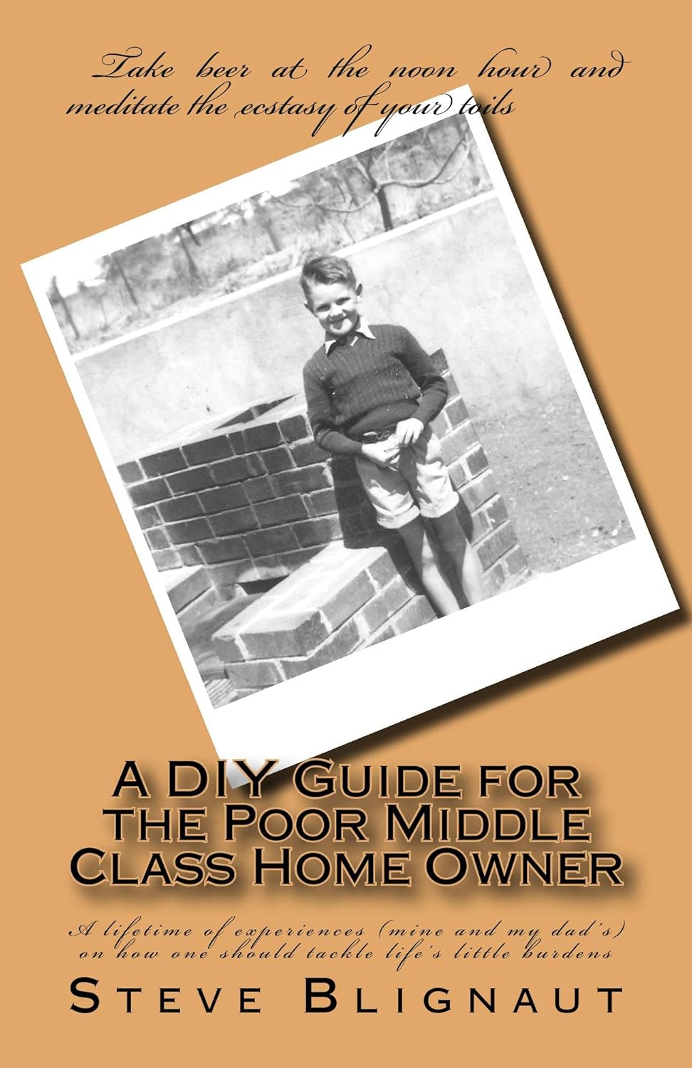 A DIY Guide for the Poor Middle Class Home Owner: A lifetime of ...