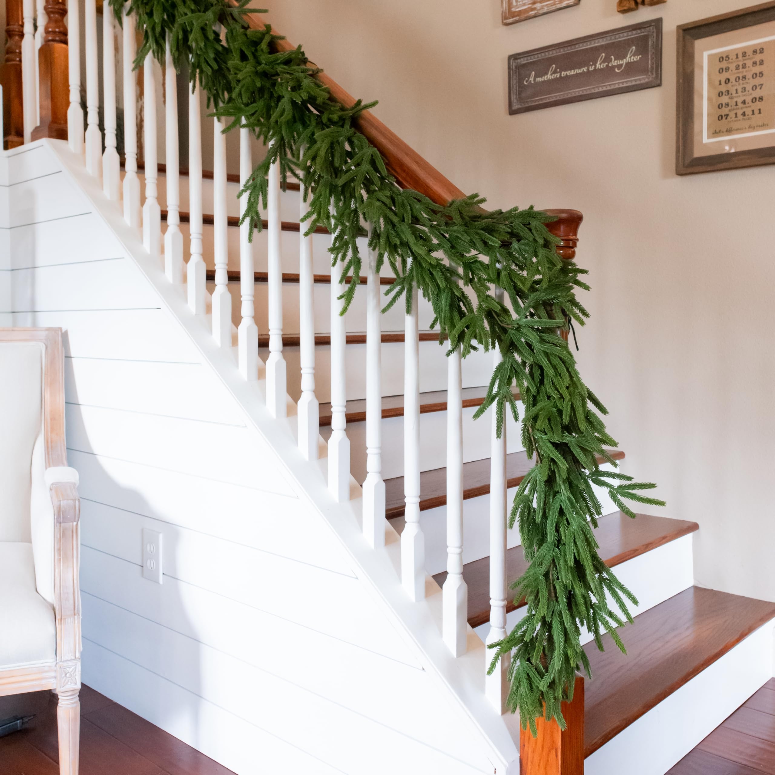 Amazon.com: Raz Imports 2024 Greenery 6' Cedar Garland, G4441754 : Home ...