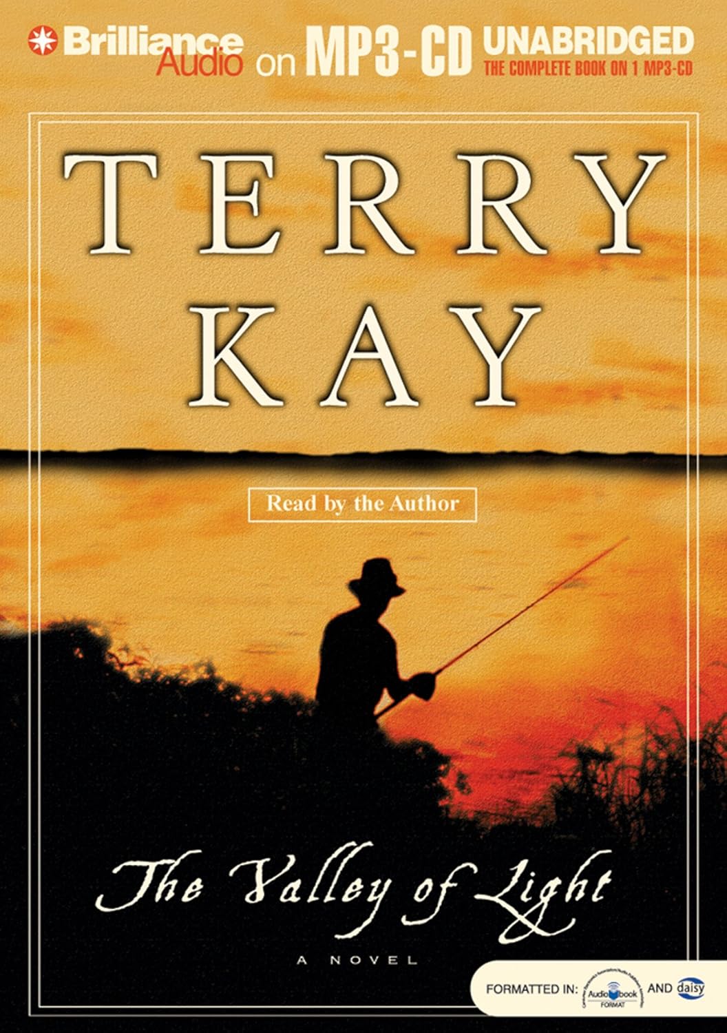 The Valley of Light: Kay, Terry, Kay, Terry: 9781593352363: Amazon.com ...