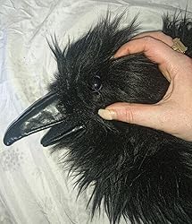 Folkmanis Puppets Raven Hand Puppet, Black, Hand Puppets - Amazon Canada