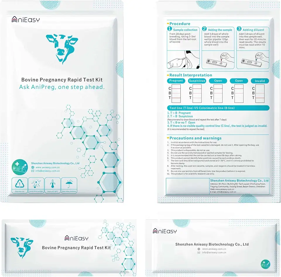 How To Determine If Your Cow Is Pregnant At Home | ShunChild