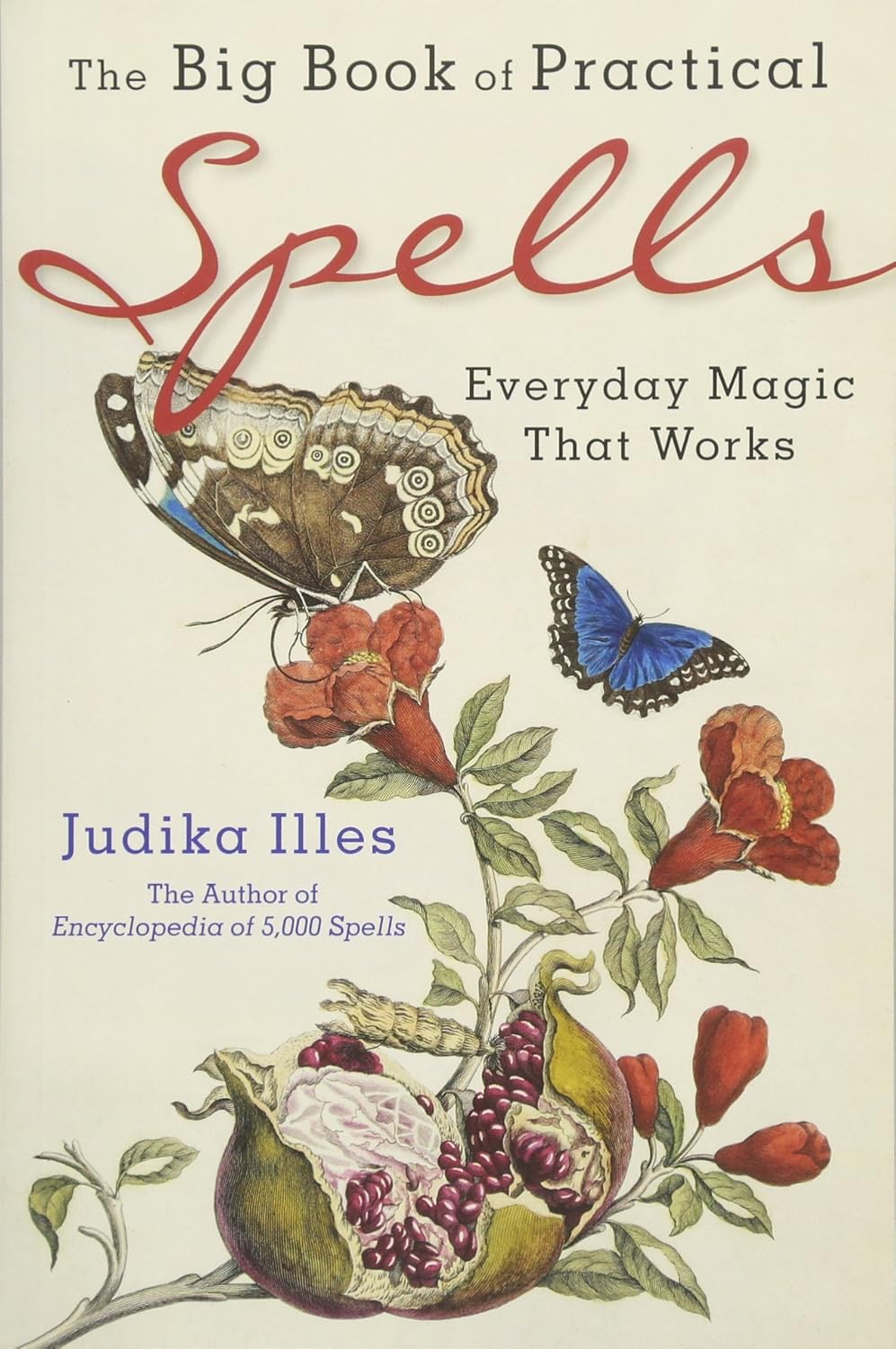 The Big Book of Practical Spells: Everyday Magic That Works: Illes ...