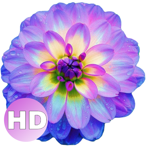 Flower Wallpapers - App on Amazon Appstore