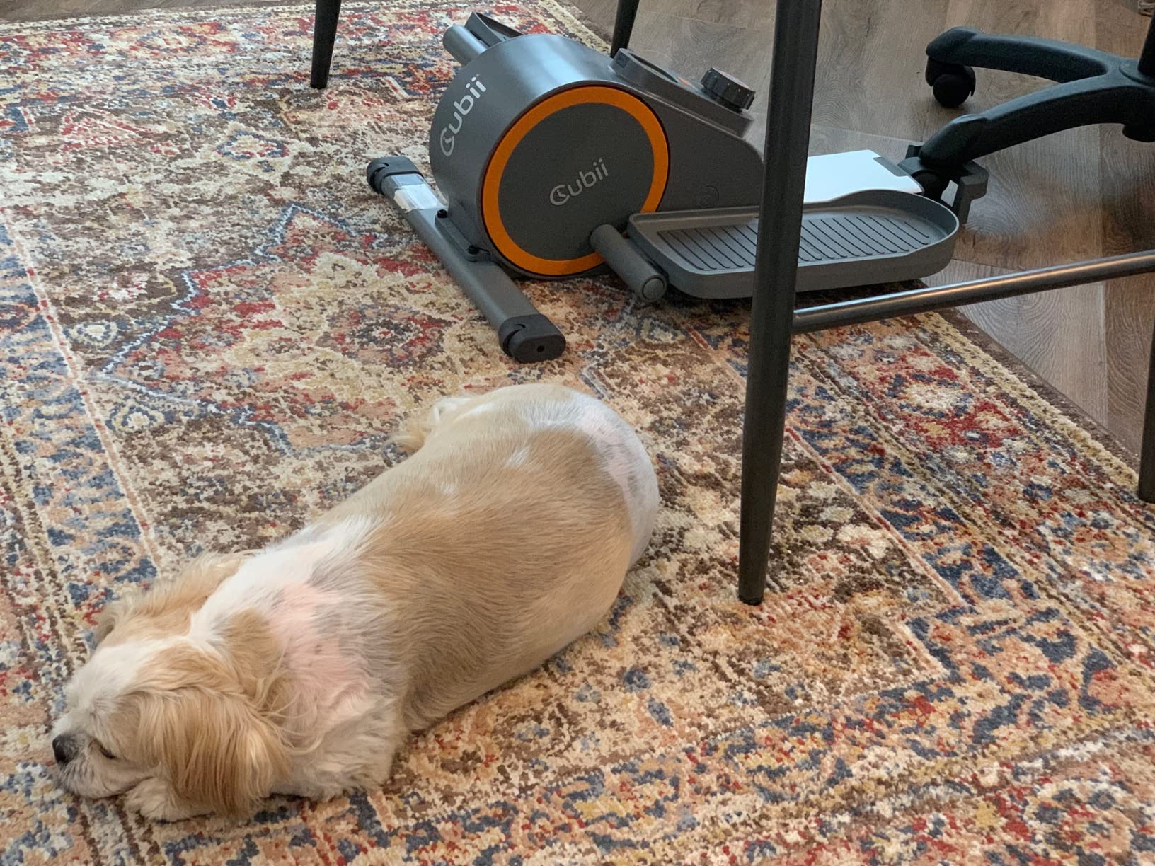 $10/mo - Finance Cubii GO Under Desk Elliptical and Mat Bundle, Bike ...