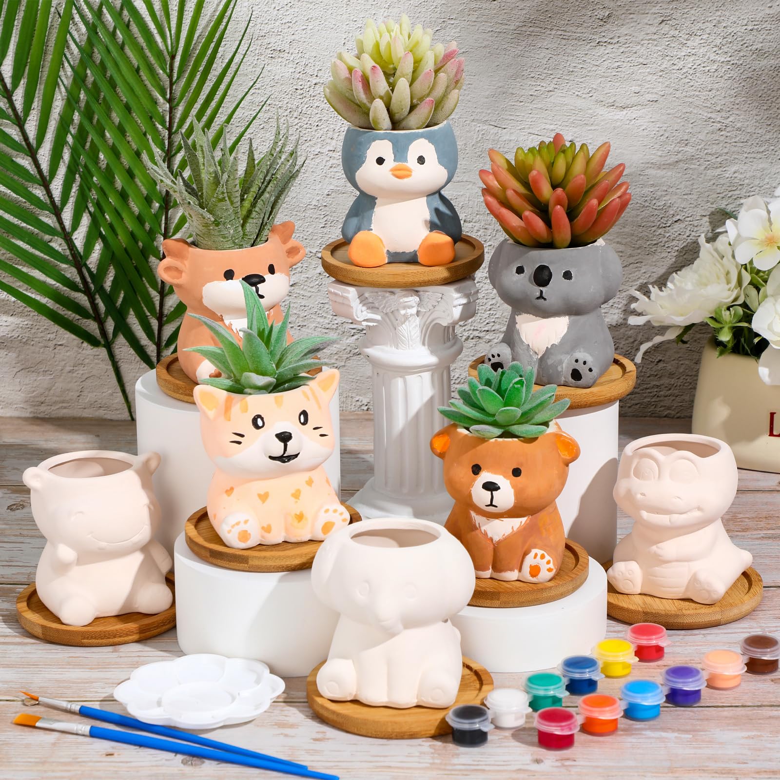 Snapklik.com : Hushee 12 Sets Ceramic Succulent Planters Paintable ...