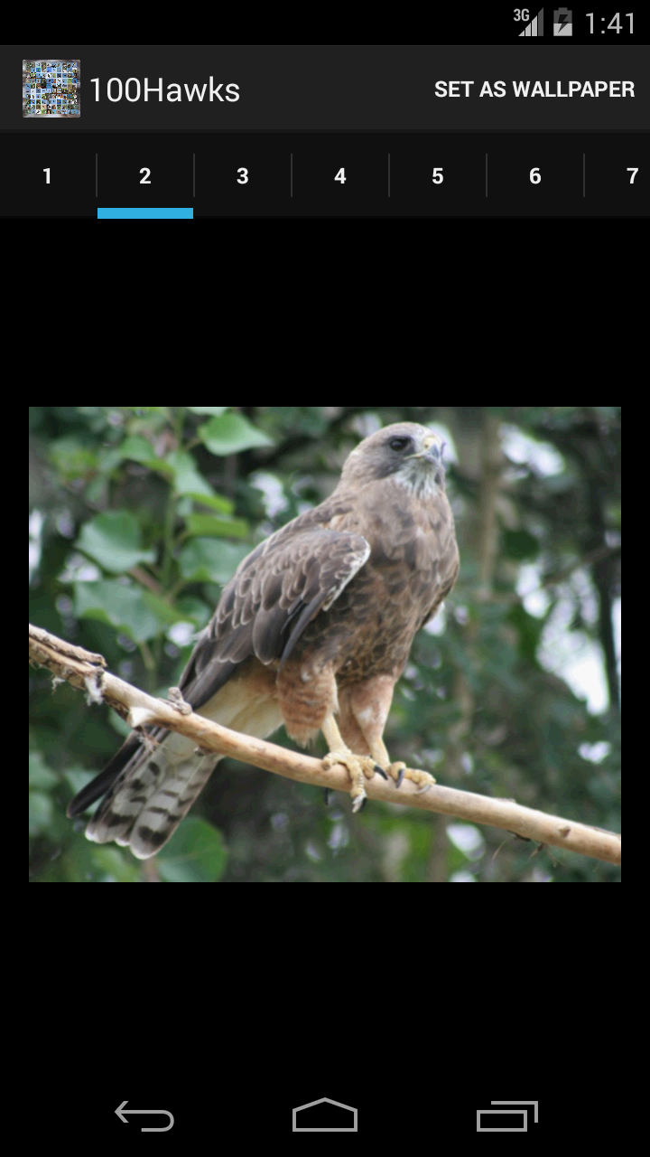Hawk Wallpaper App - App on Amazon Appstore