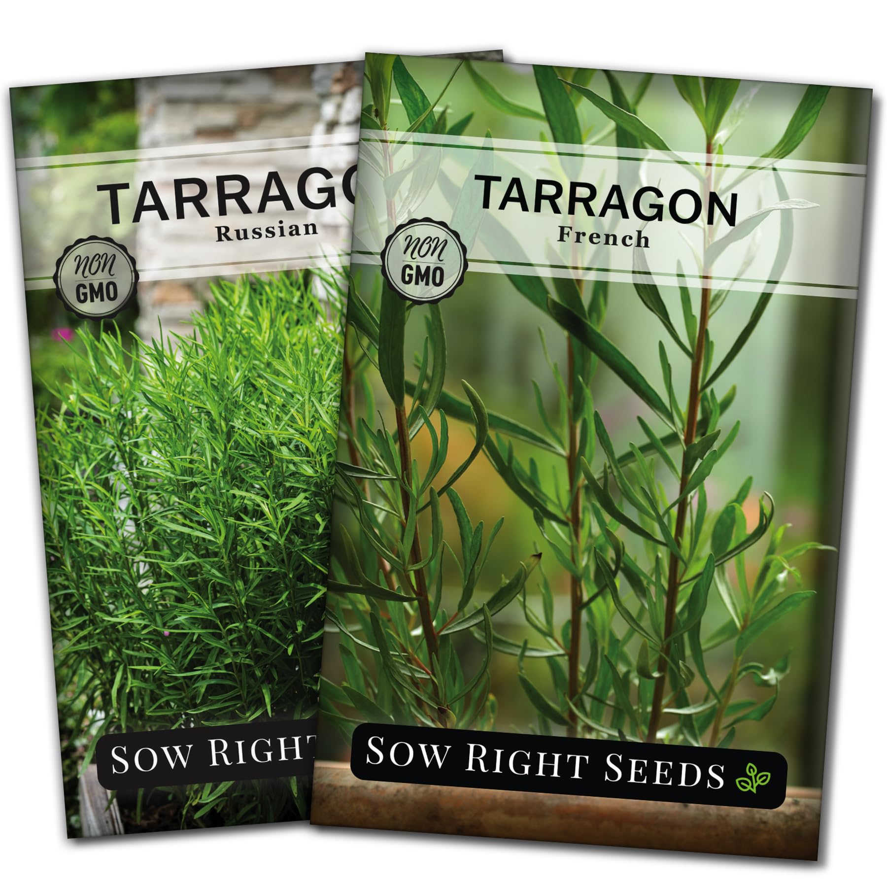 Amazon.com : Sow Right Seeds - Tarragon Seed Collection for Planting ...
