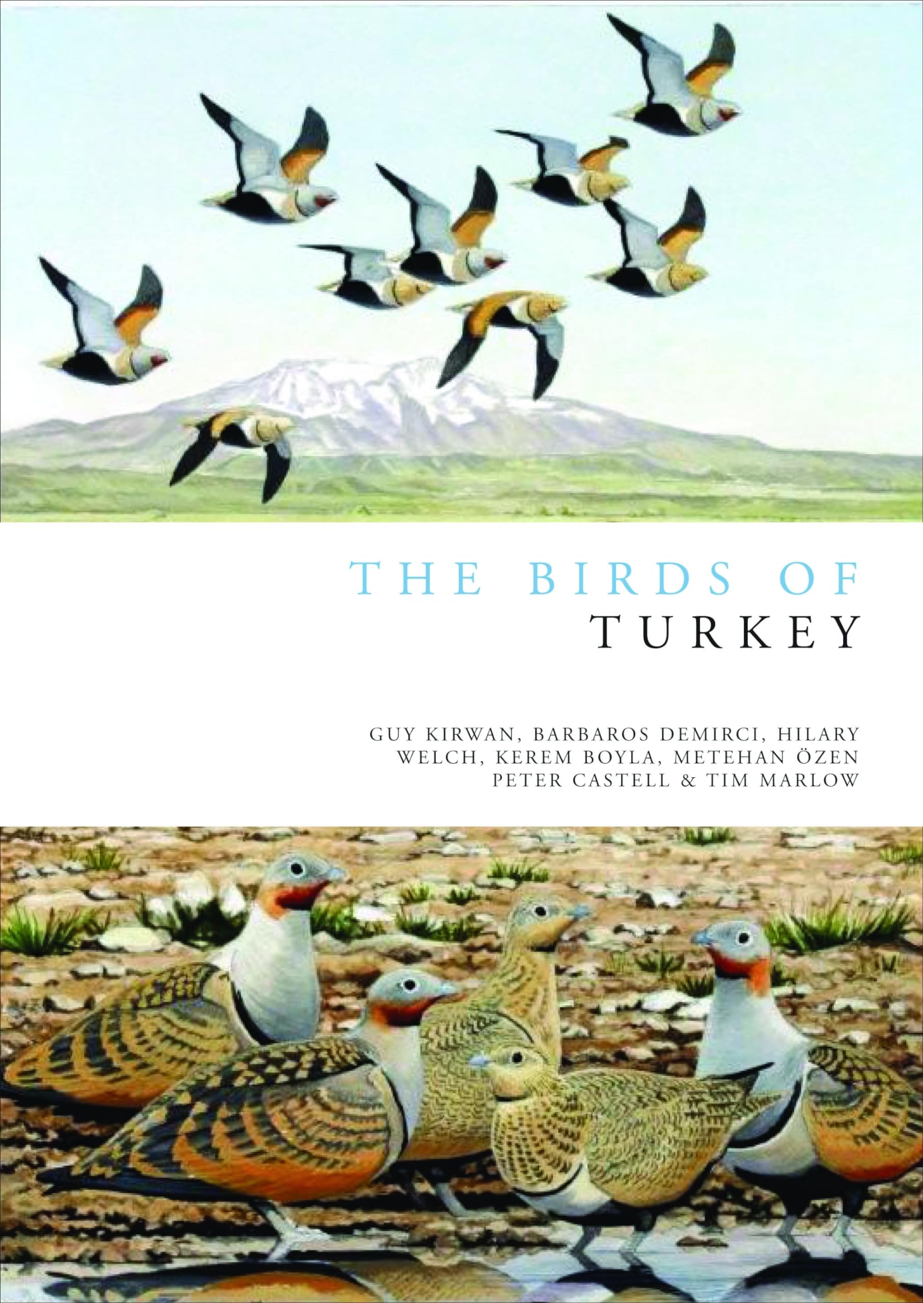 The Birds of Turkey (Helm Field Guides): Amazon.co.uk: Kirwan, Guy ...