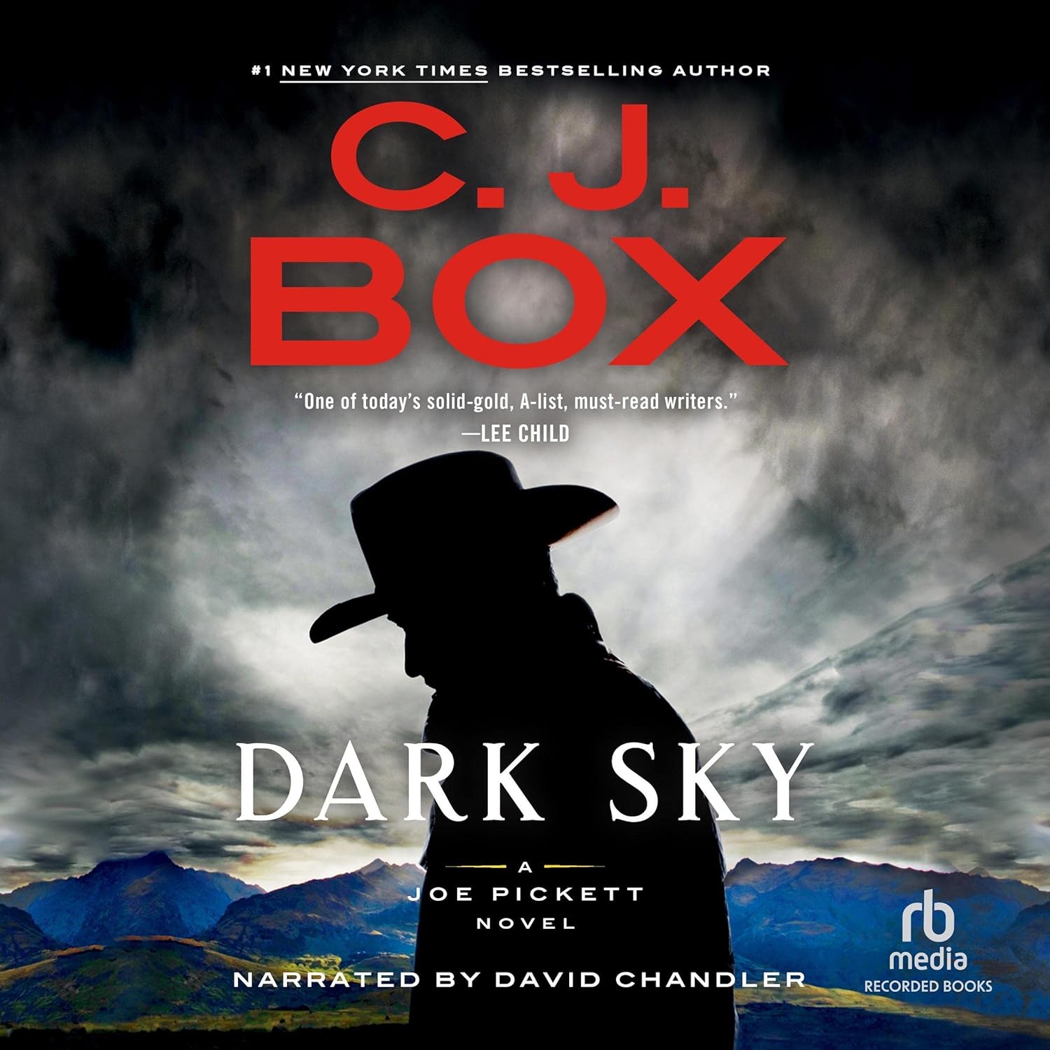 Amazon.com: Dark Sky (Audible Audio Edition): David Chandler, C. J. Box ...