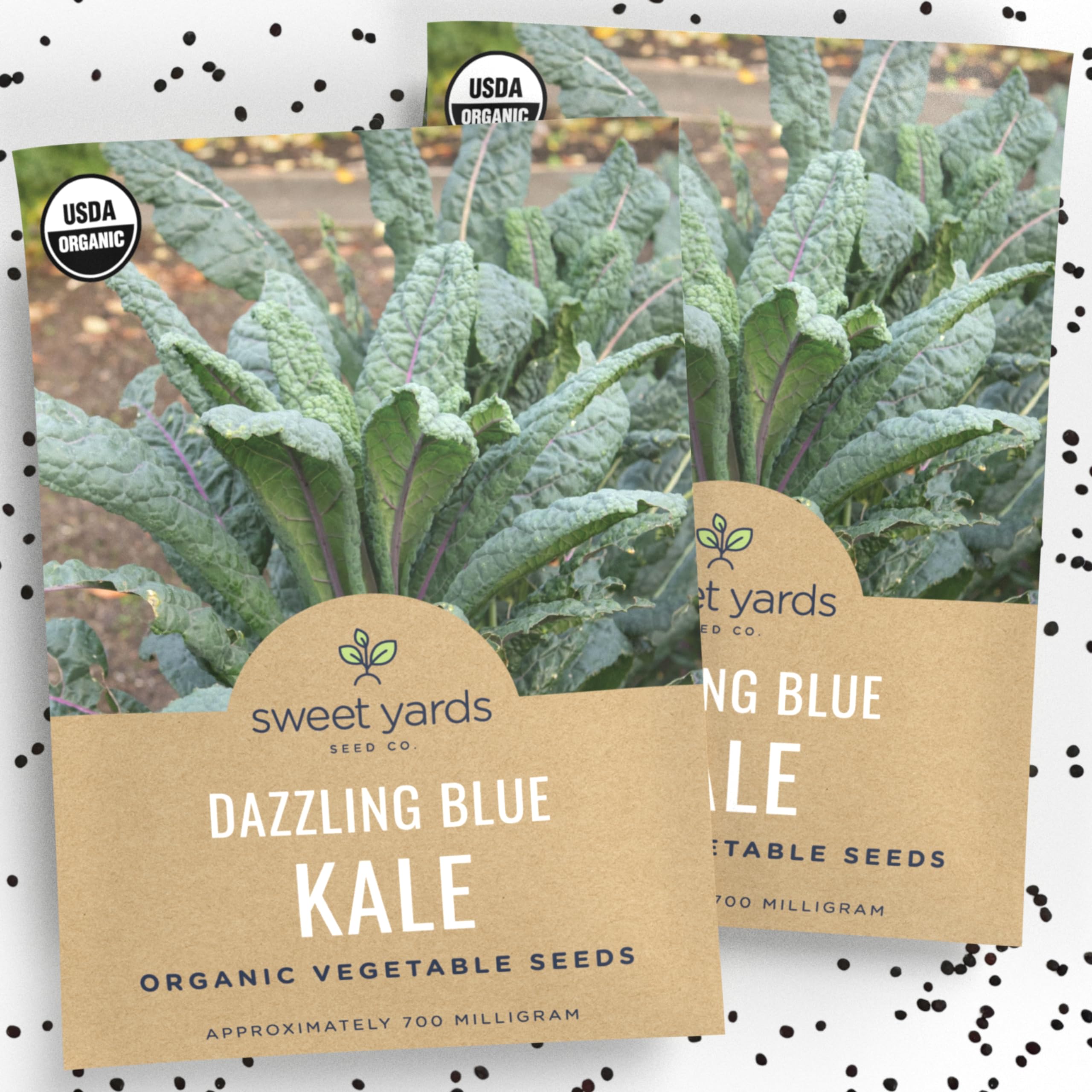 Amazon.com : Organic Dazzling Blue Kale Seeds - Two Seed Packets ...