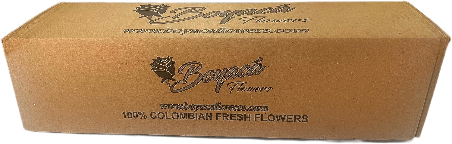 Flores de Boyaca 24 tallo, rosa amarilla con jarrón, granja fresca ...