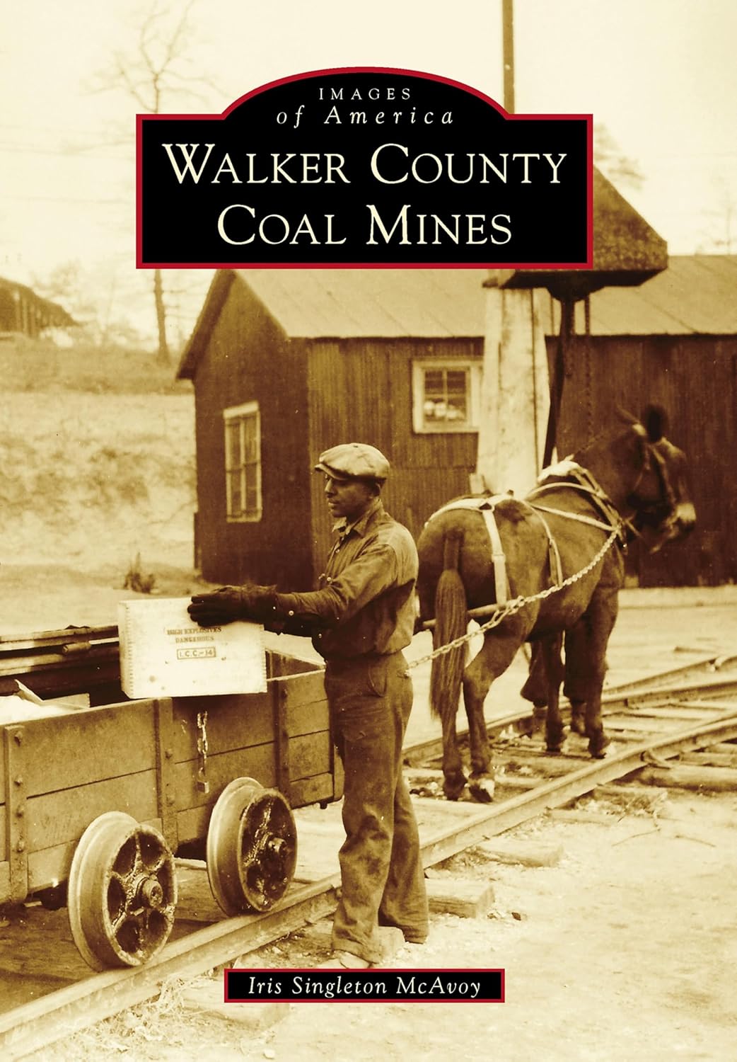 Walker County Coal Mines (Images of America), McAvoy, Iris Singleton ...