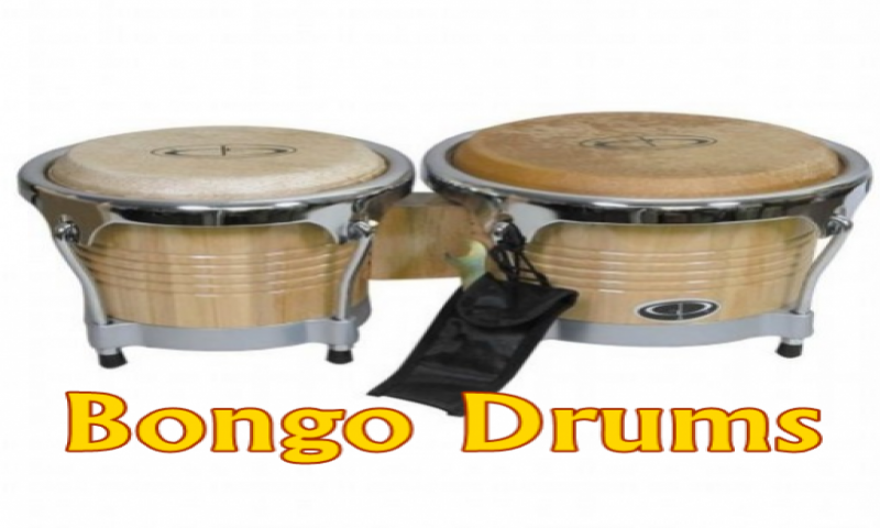 Bongo Drums - App on Amazon Appstore