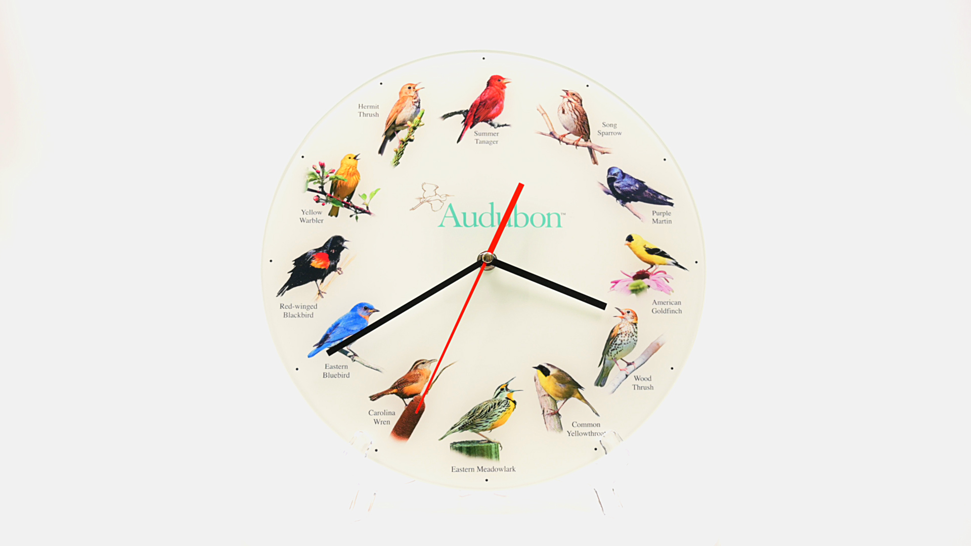 Watch Audubon Songbird Species Classic 12 inch Glass Round Clock on ...