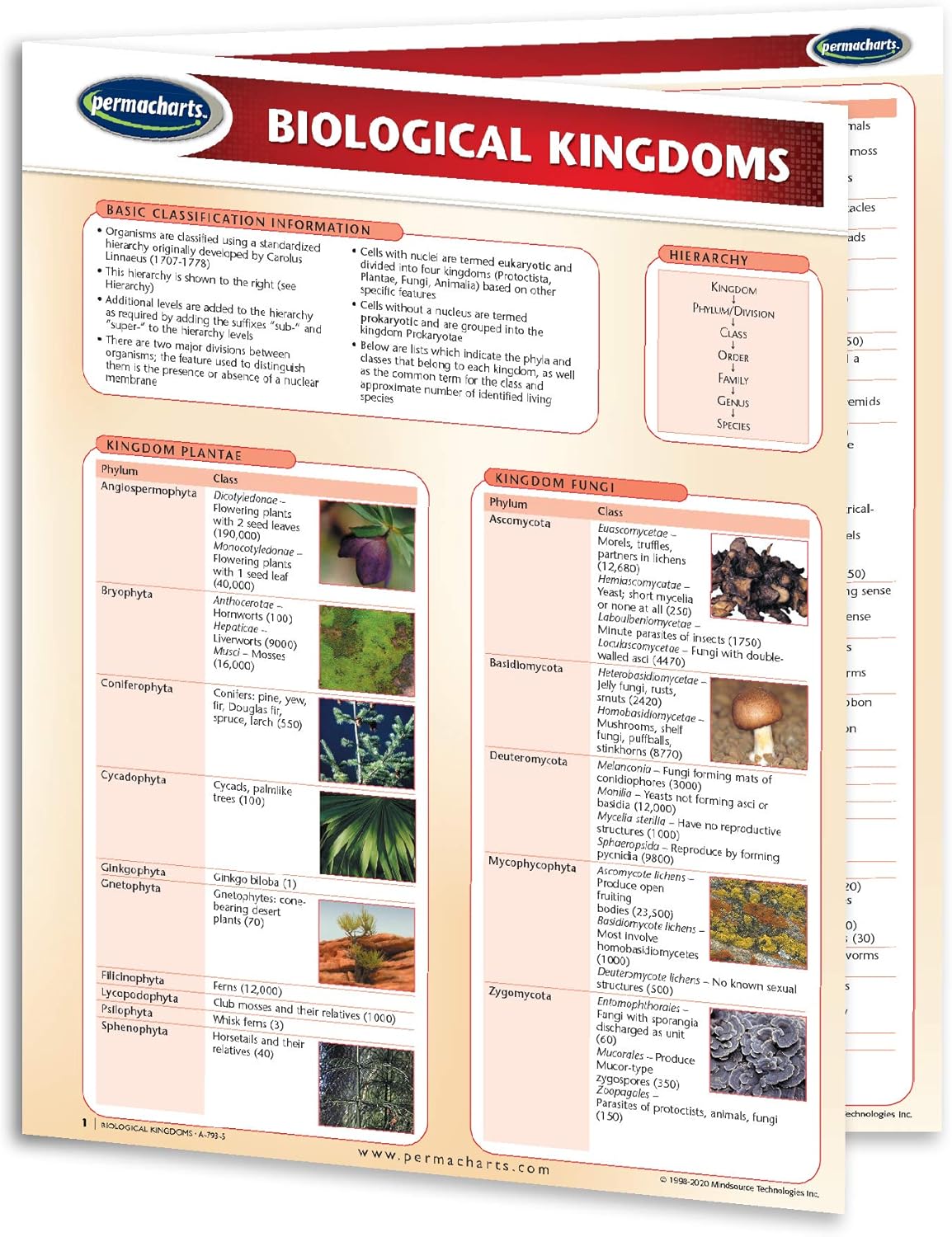 Biological Kingdoms - Biology Quick Reference Guide by Permacharts ...