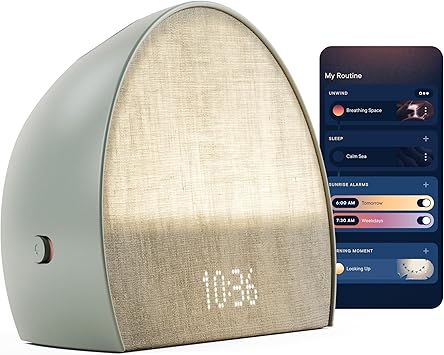 Hatch Restore 2 Sunrise Alarm Clock, Sound Machine, Smart Light (Slate ...