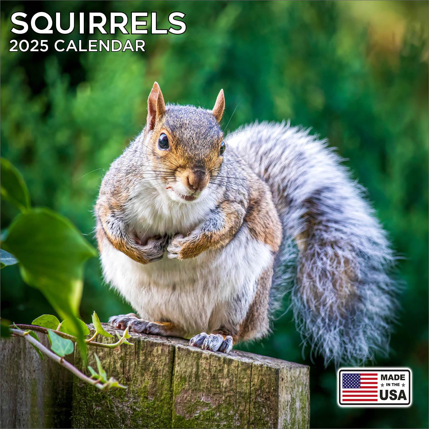 Snapklik.com : 2025 Squirrels Calendar - Dog Breed Wall Calendar - 12 X ...