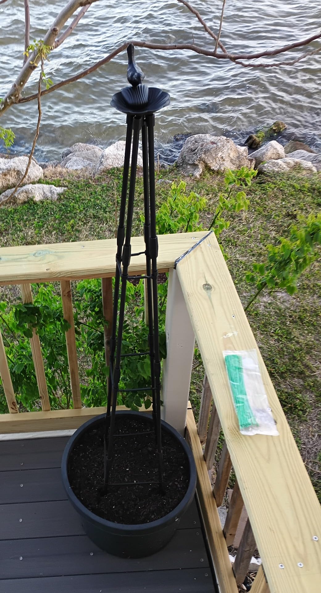 Amazon.com : EAPFCT Garden Trellis for Climbing Plants Obelisk Cucumber ...