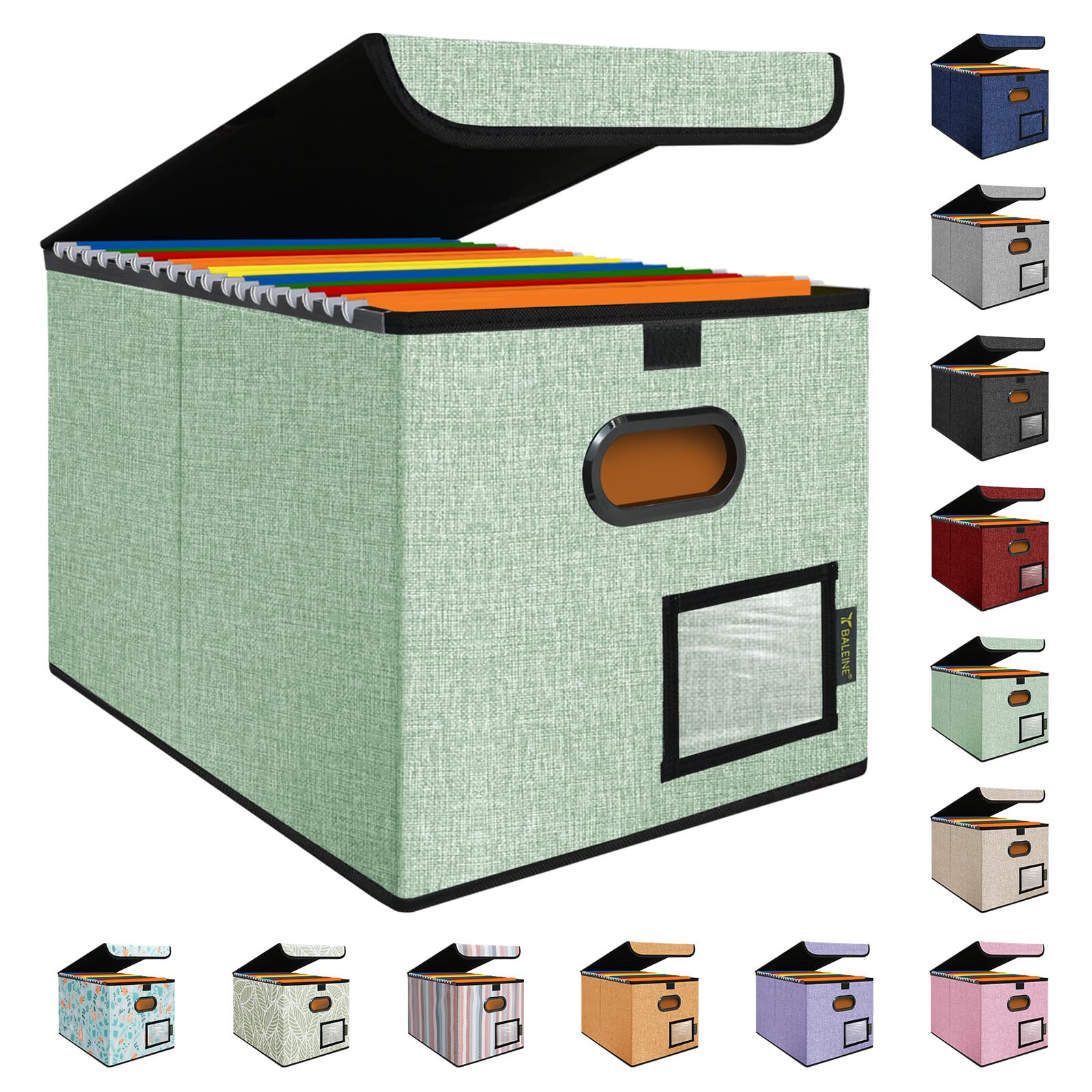 Amazon.com: BALEINE File Organizer Box with Lid, Collapsible File ...