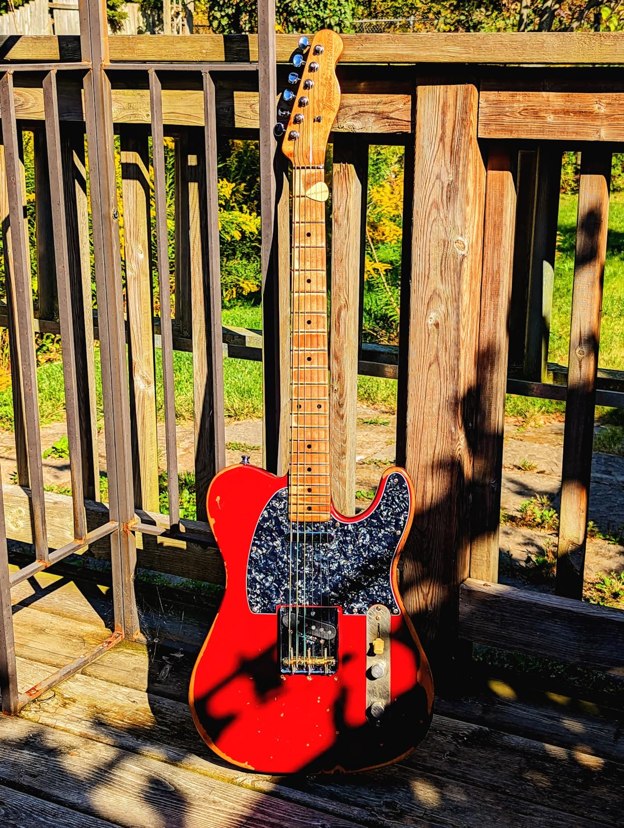Fender Tex-Mex Telecaster Single-Coil Pickups - Set of 2 : Amazon.ca ...