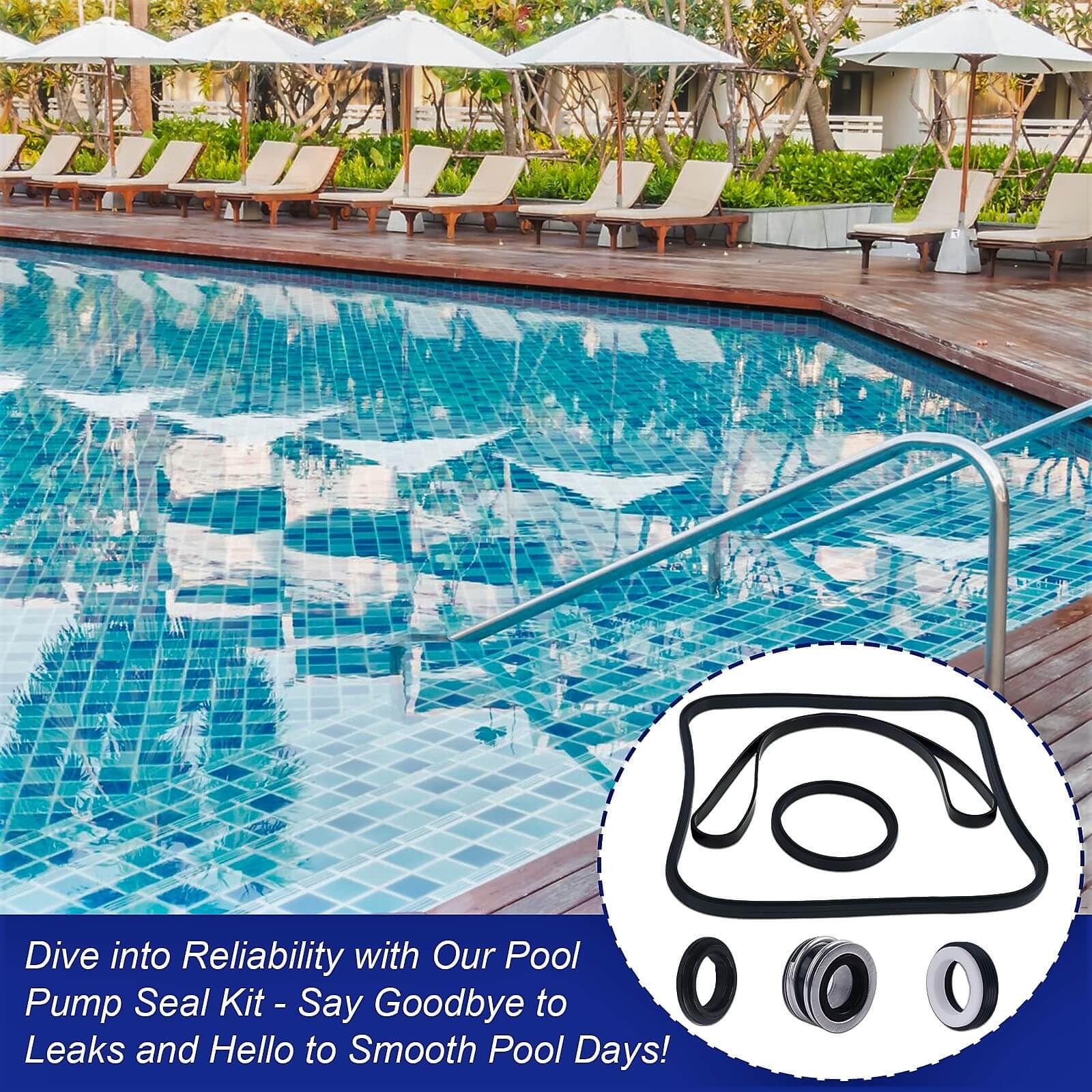 Snapklik.com : Pool Pump Gasket Seal O-Ring Repair Kit For Hayward ...