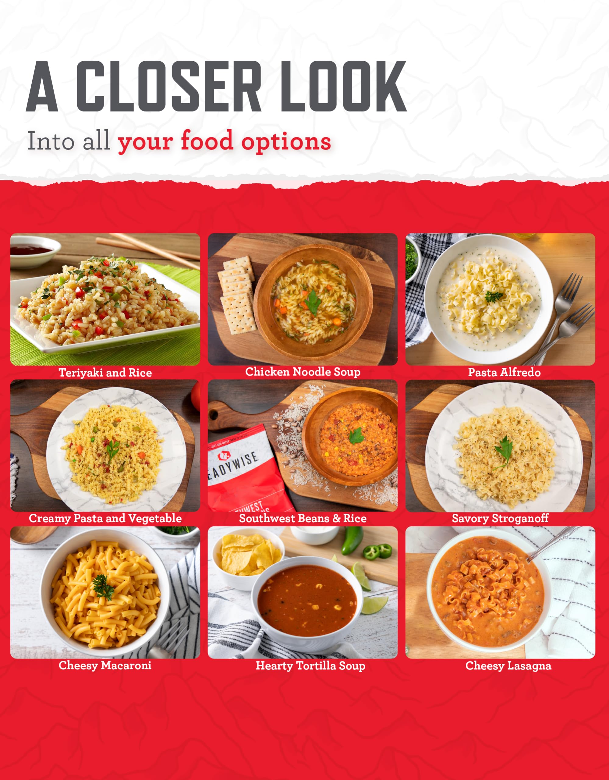 Snapklik.com : READYWISE - Entrée Grab & Go Bucket, 60 Servings ...