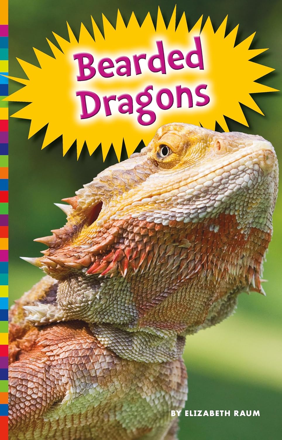 Bearded Dragons (Lizards): Raum, Elizabeth: 9781625883070: Amazon.com ...