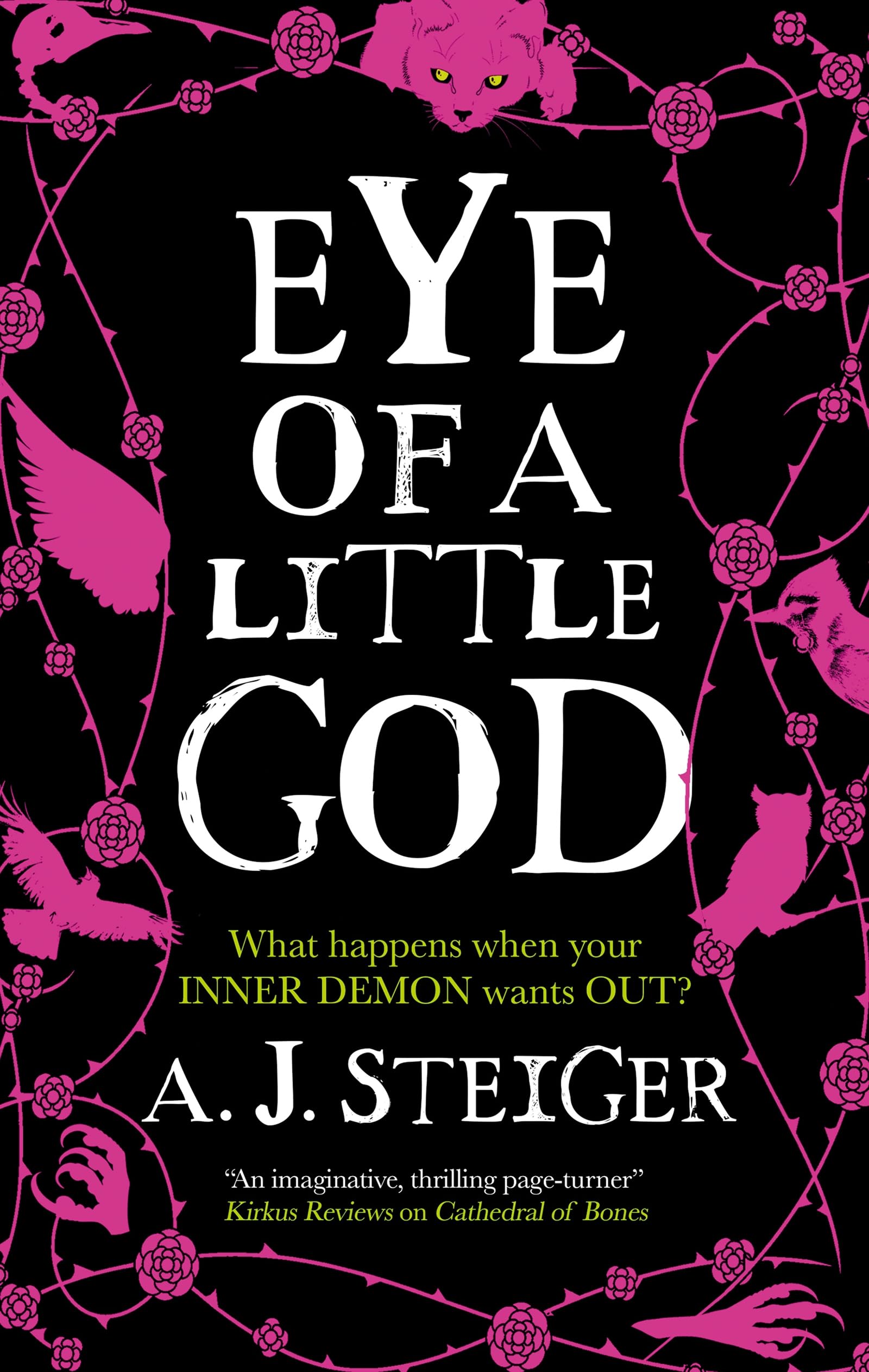 Eye of a Little God: Steiger, A.J.: 9781448312146: Amazon.com: Books