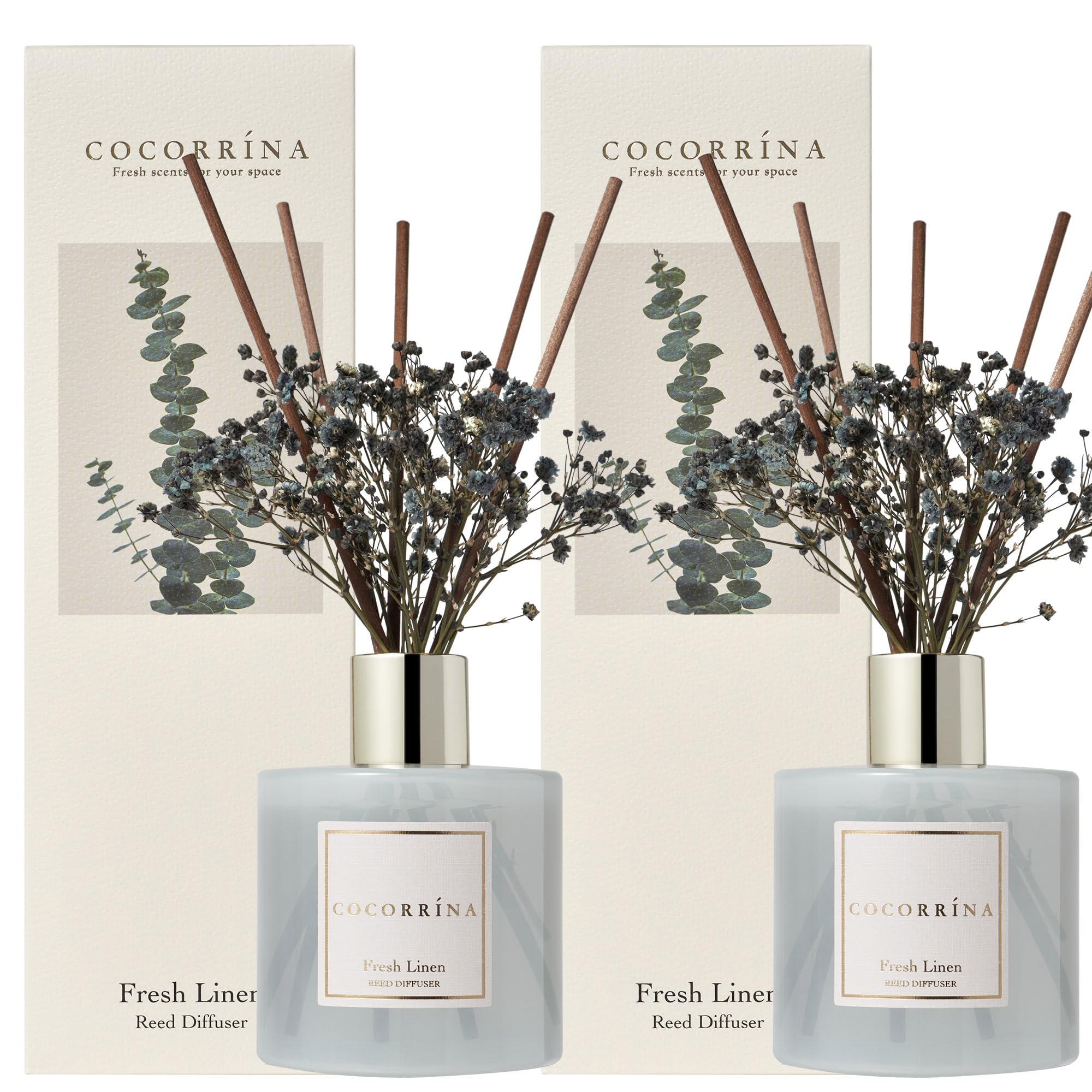 Snapklik.com : Cocorrina Reed Diffuser Set