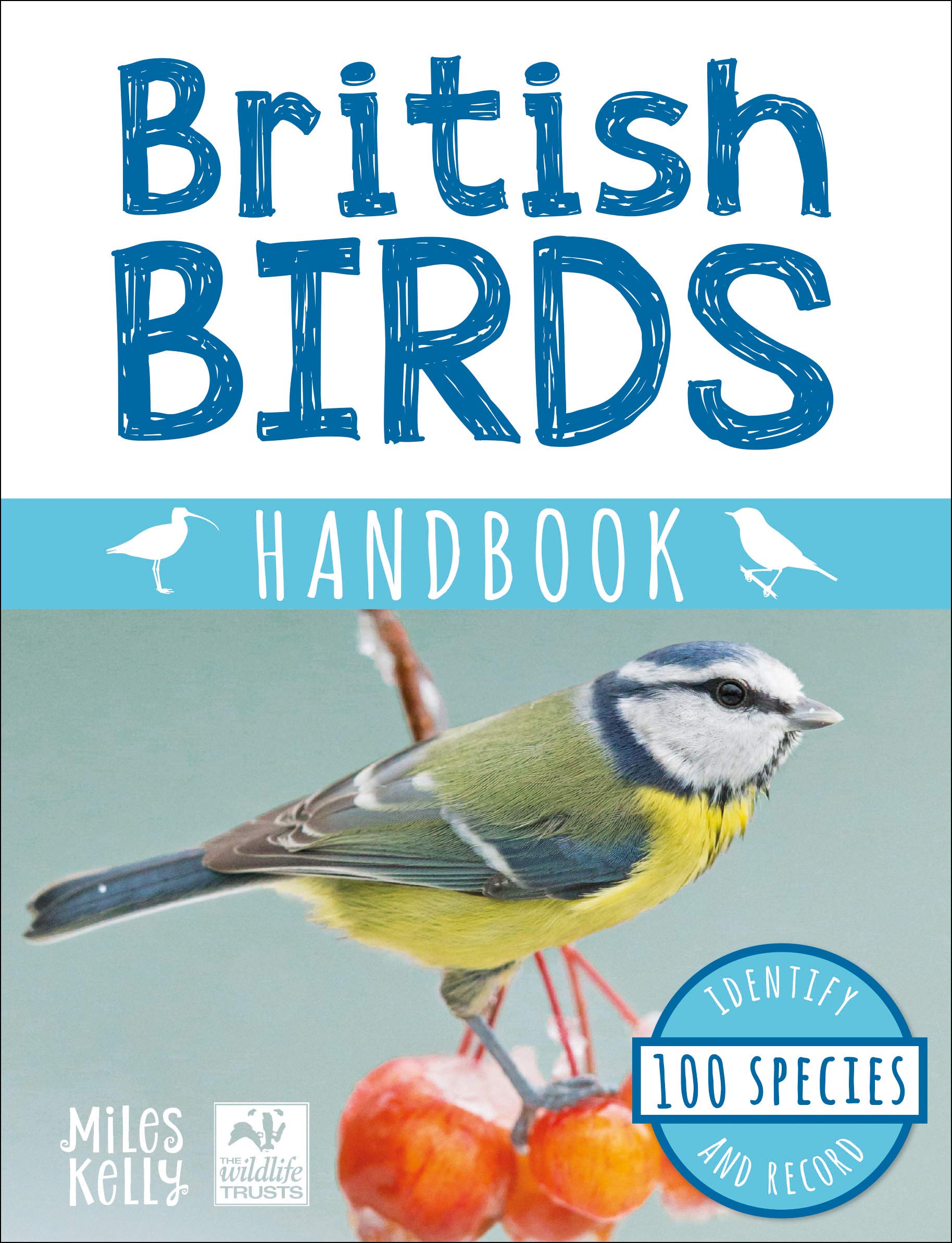 British Birds Handbook (The Wildlife Trust): Identification Book Packed ...