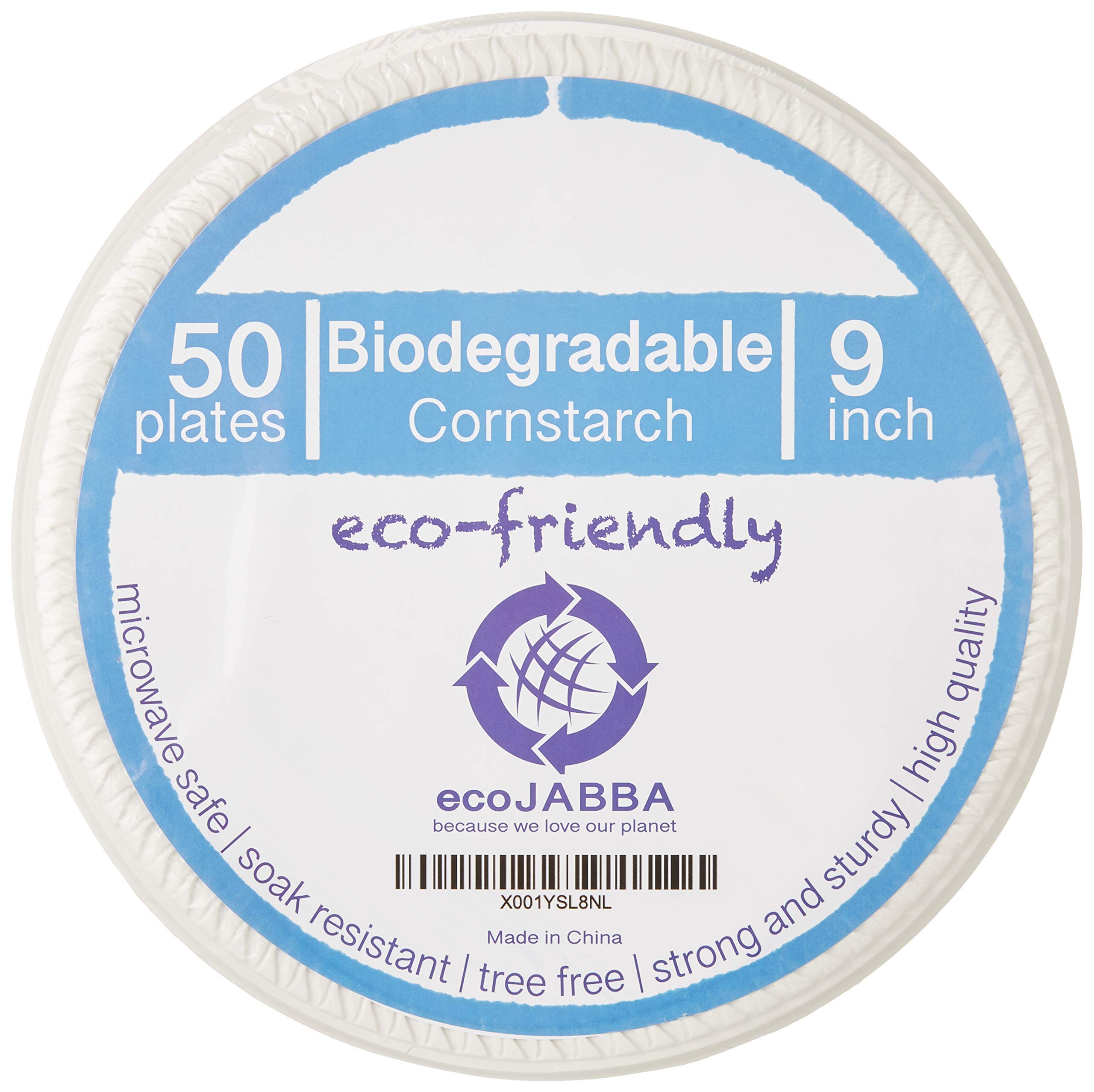 Paper Plate Alternatives at Ebony Heritage blog