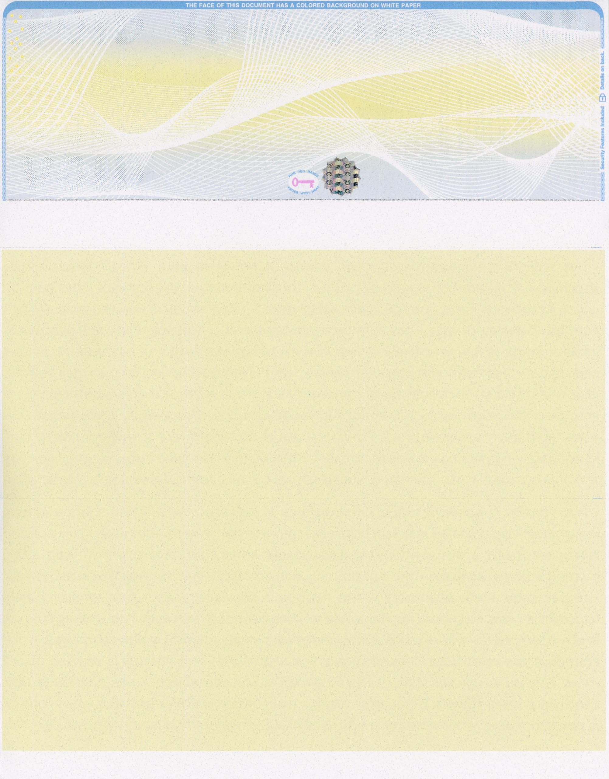 Amazon.com : Blank High Security Top Computer Checks, 250 Blue/Red ...