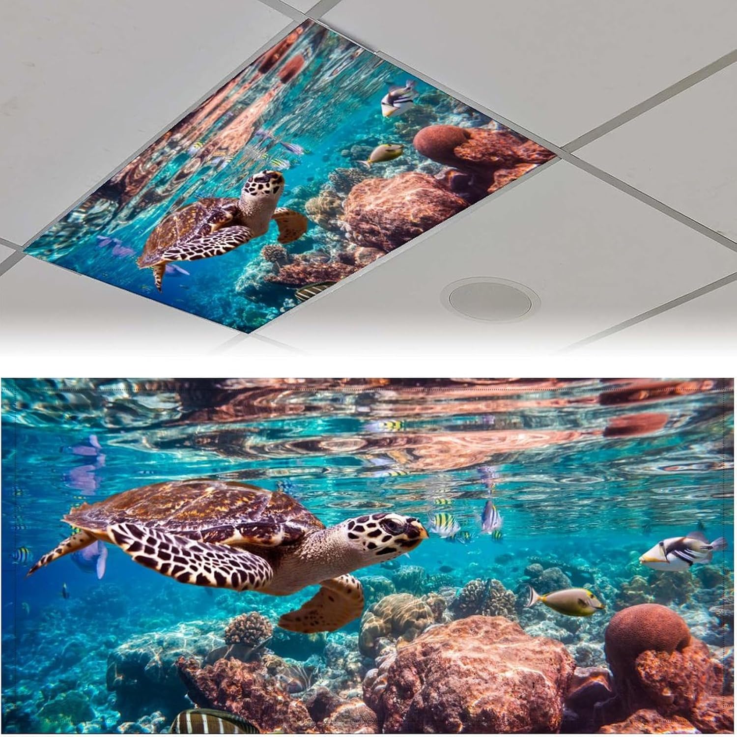 2 Pack Fluorescent Light Cover for Ceiling Light -Turtle Magnetic Light ...