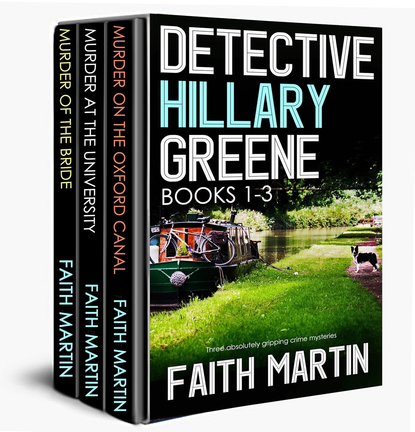 Amazon.com: DETECTIVE HILLARY GREENE BOX SET Books 1–3 three absolutely ...