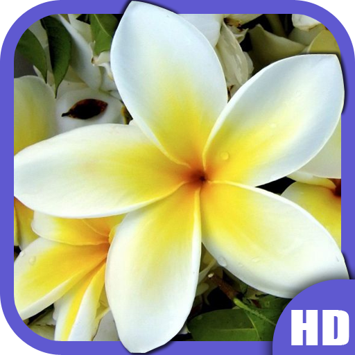 Flowers HD Wallpapers - App on Amazon Appstore