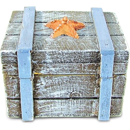 Amazon.com: CoTa Global Neptune Wooden Nautical Jewelry Box – Seashell ...