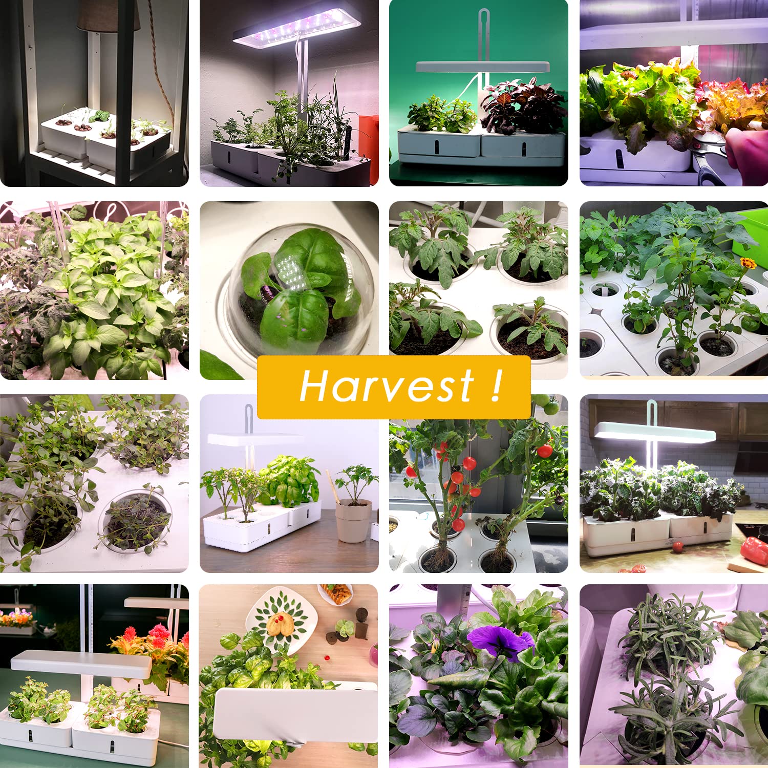 Snapklik.com : GrowLED Hydroponic Grow Box Kit Self Watering Planter ...