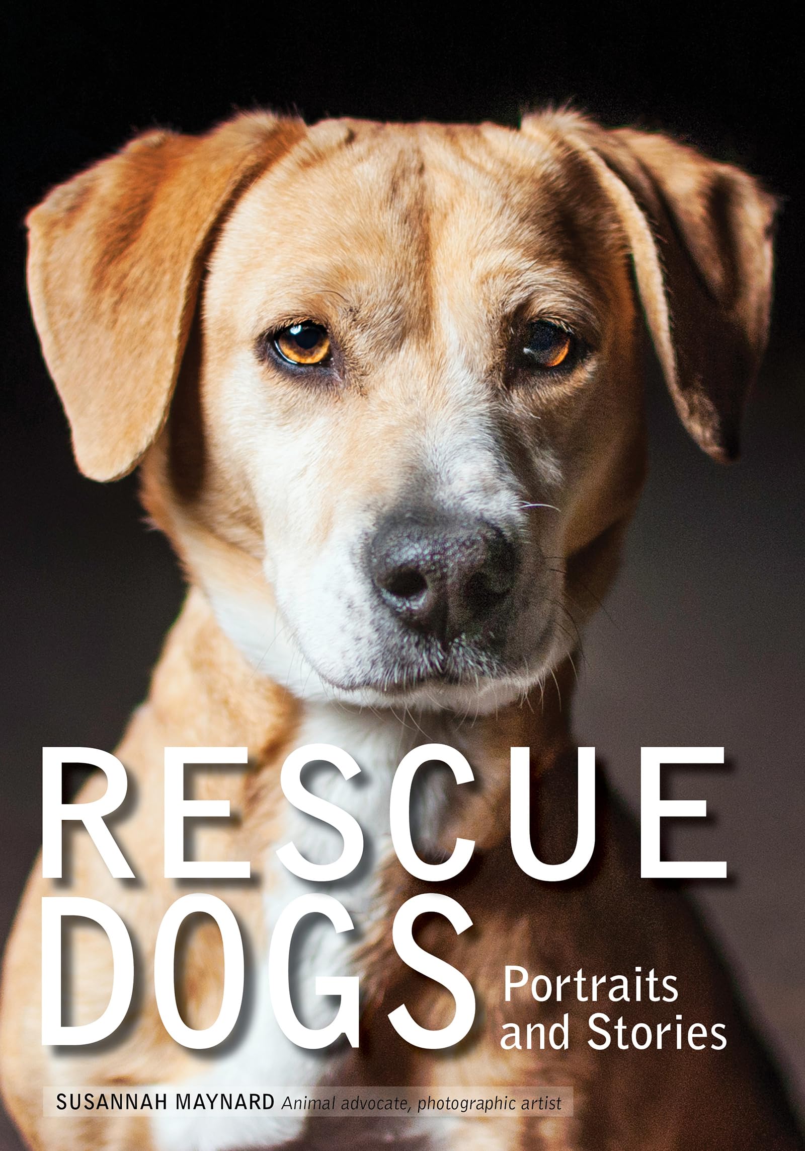 Amazon.com: Rescue Dogs: Portraits and Stories: 9781682032985: Maynard ...