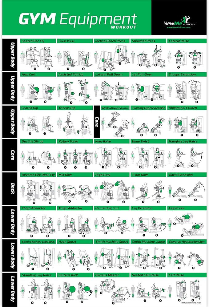 Amazon.com: Gym Equipment Exercise Poster for Home or Fitness Center ...