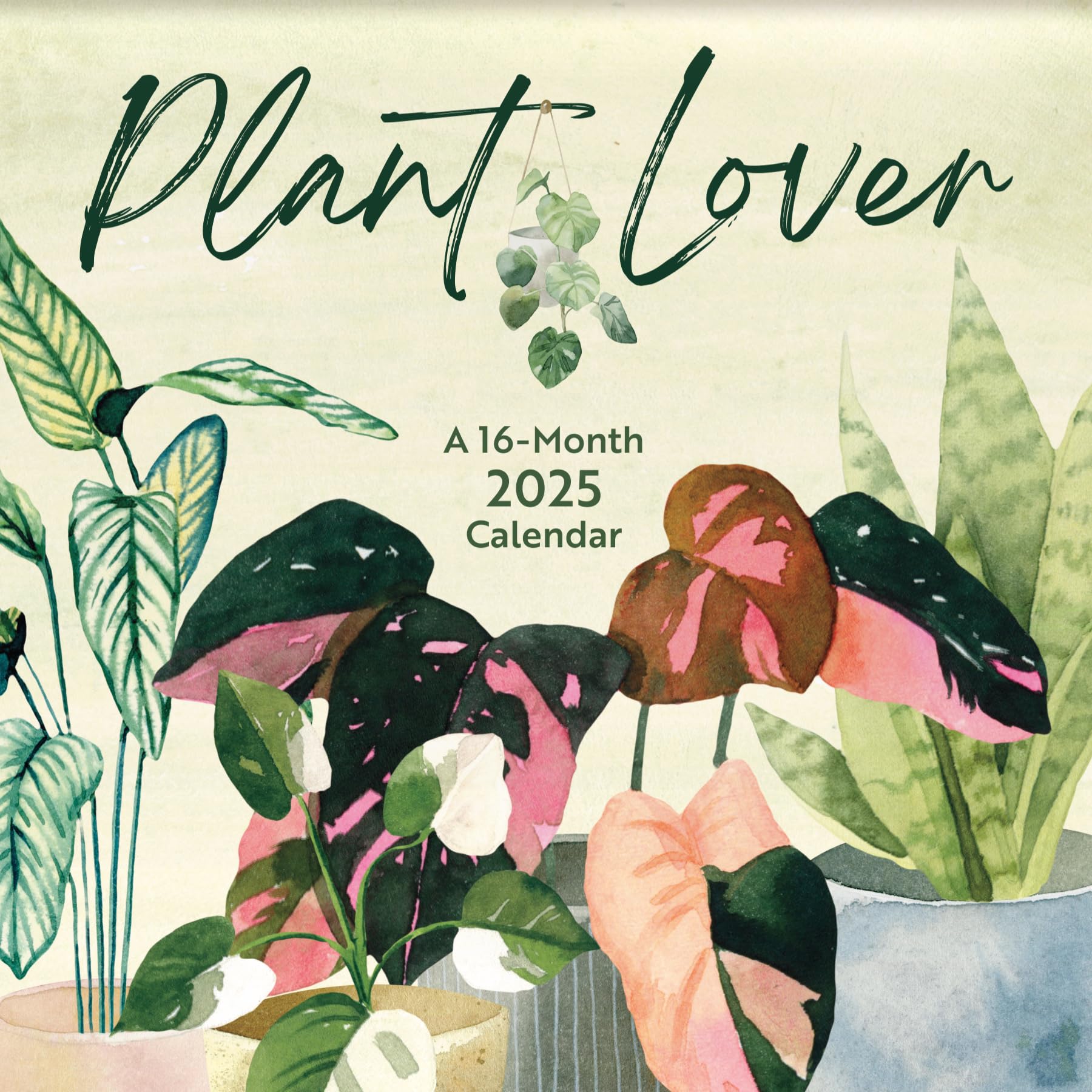 Amazon.com: 2025 Plant Lover Wall Calendar: 9798888280478: Trends ...