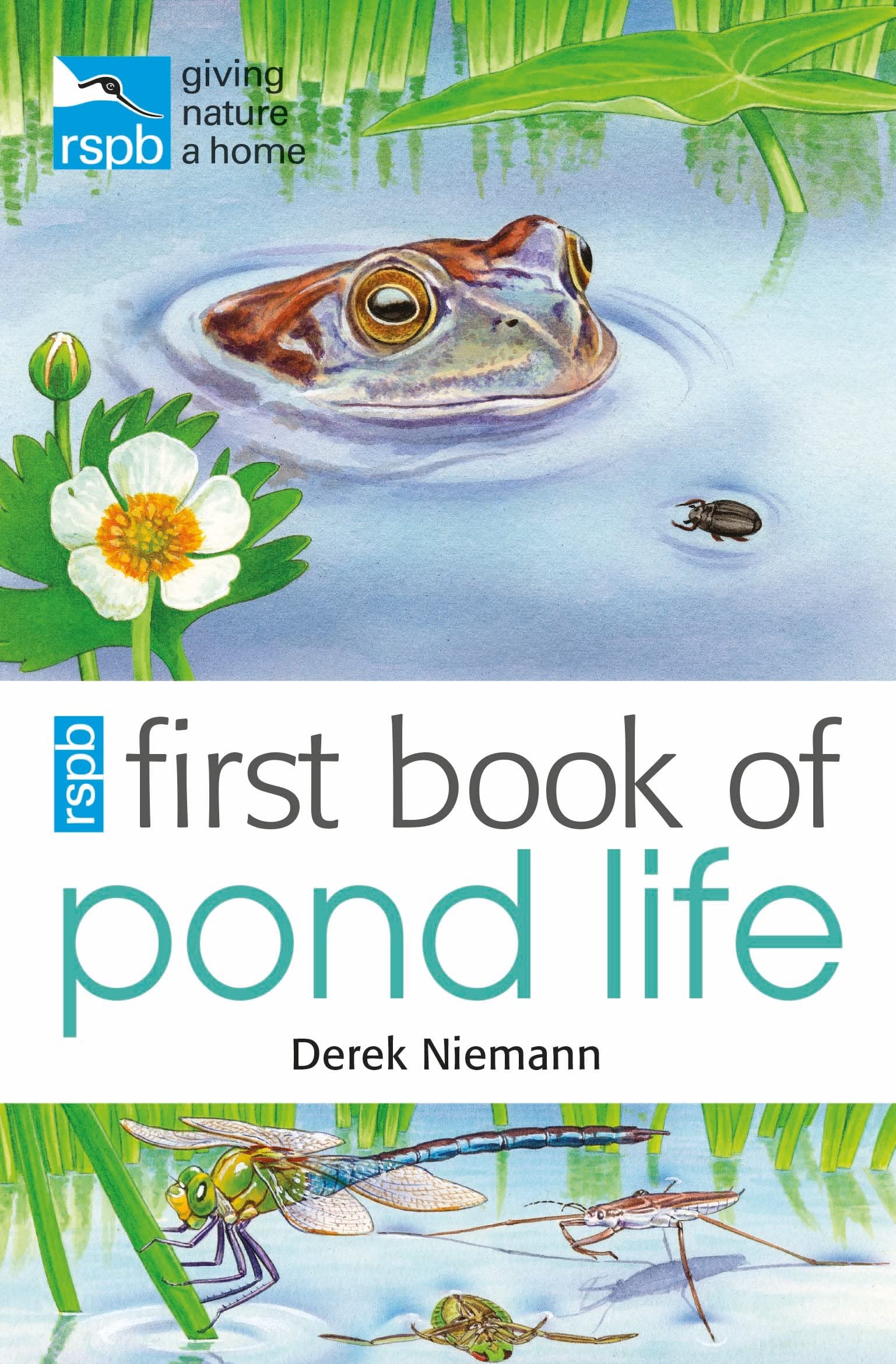 RSPB First Book Of Pond Life : Niemann, Derek: Amazon.co.uk: Books
