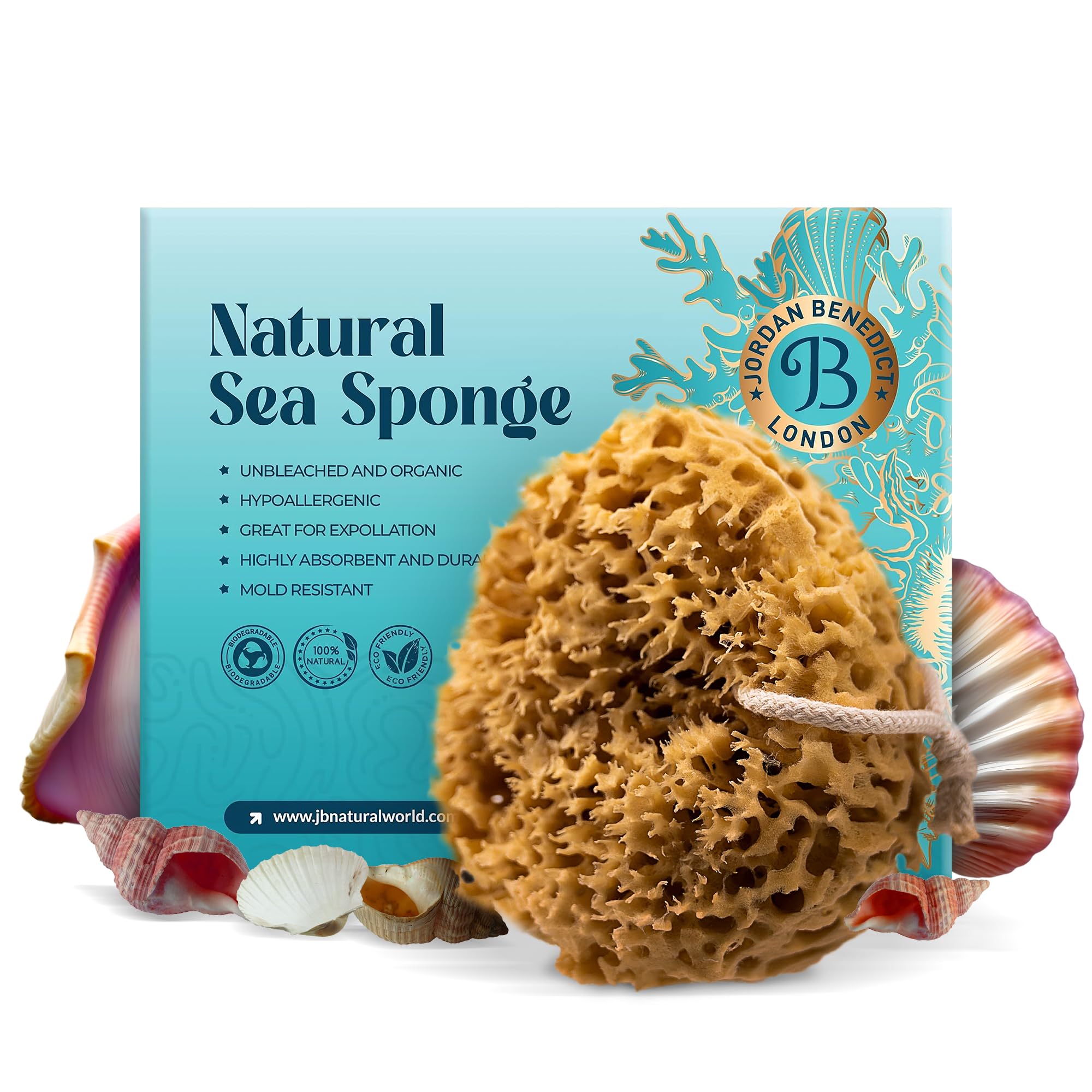 Jordan Benedict Natural Sea Sponge, Unbleached Honeycomb Shower Sponge ...