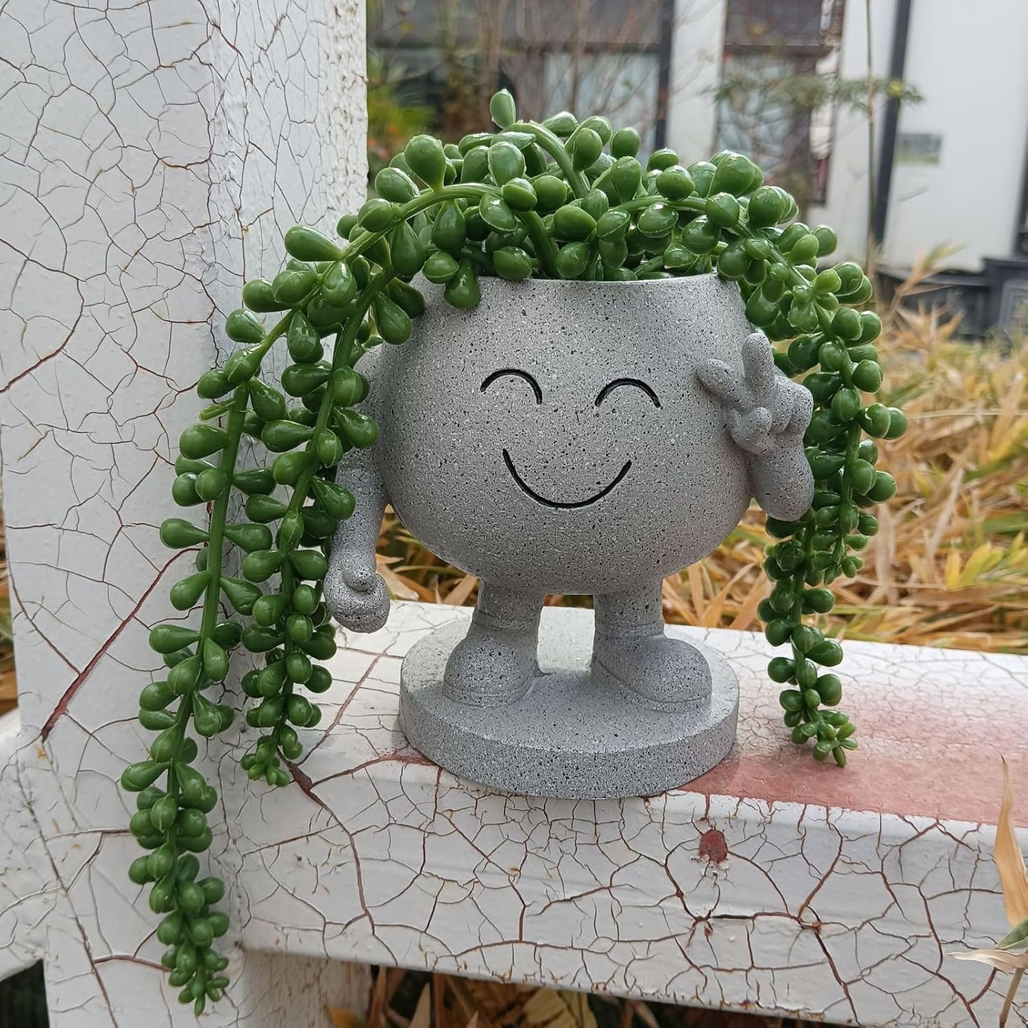Amazon.com : Altsuceser Facepot Planter with a Smiling Face, Face ...