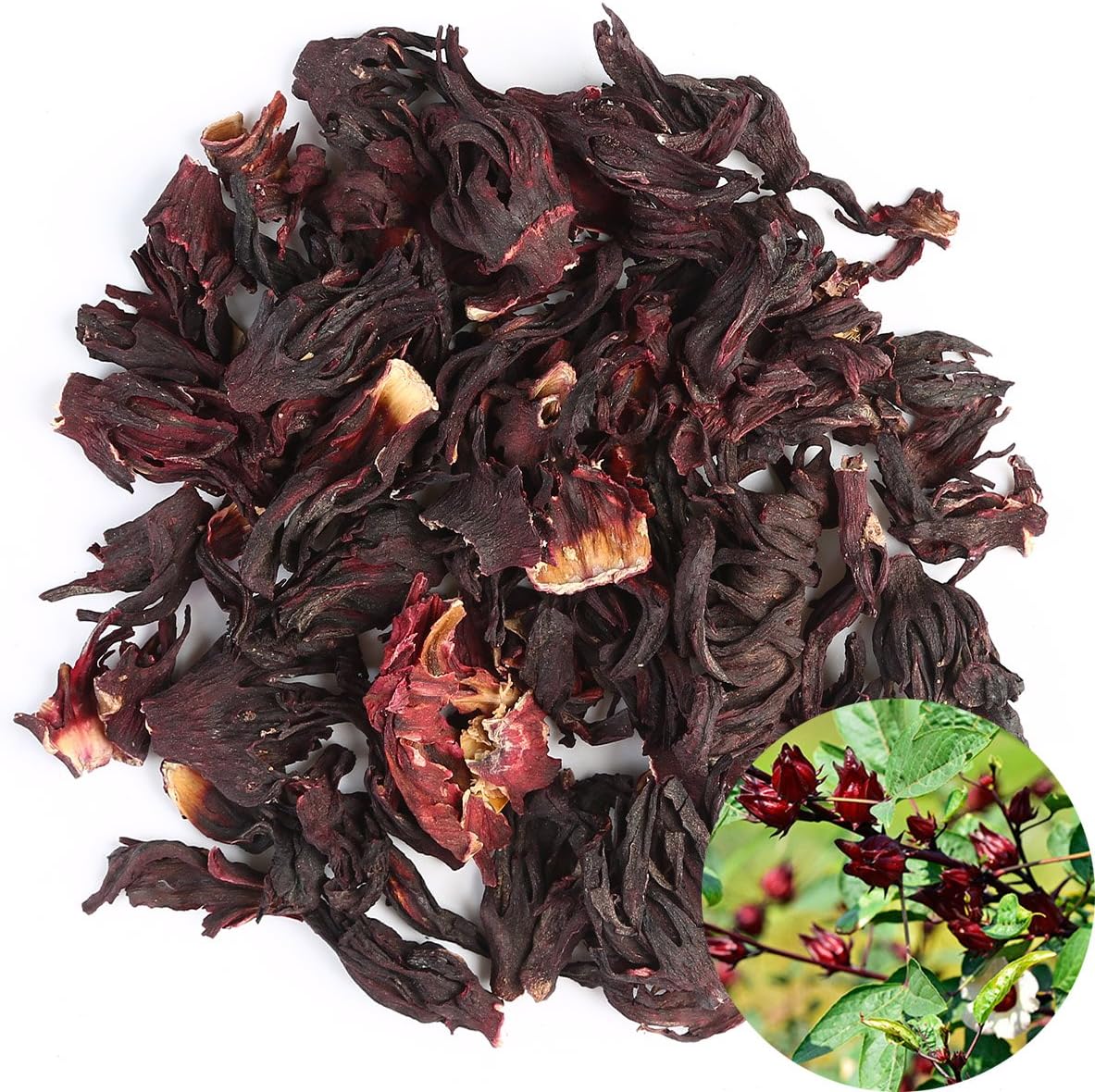 Amazon.com : 1lb Dried Hibiscus Flowers perfect for Tea and Mexican ...