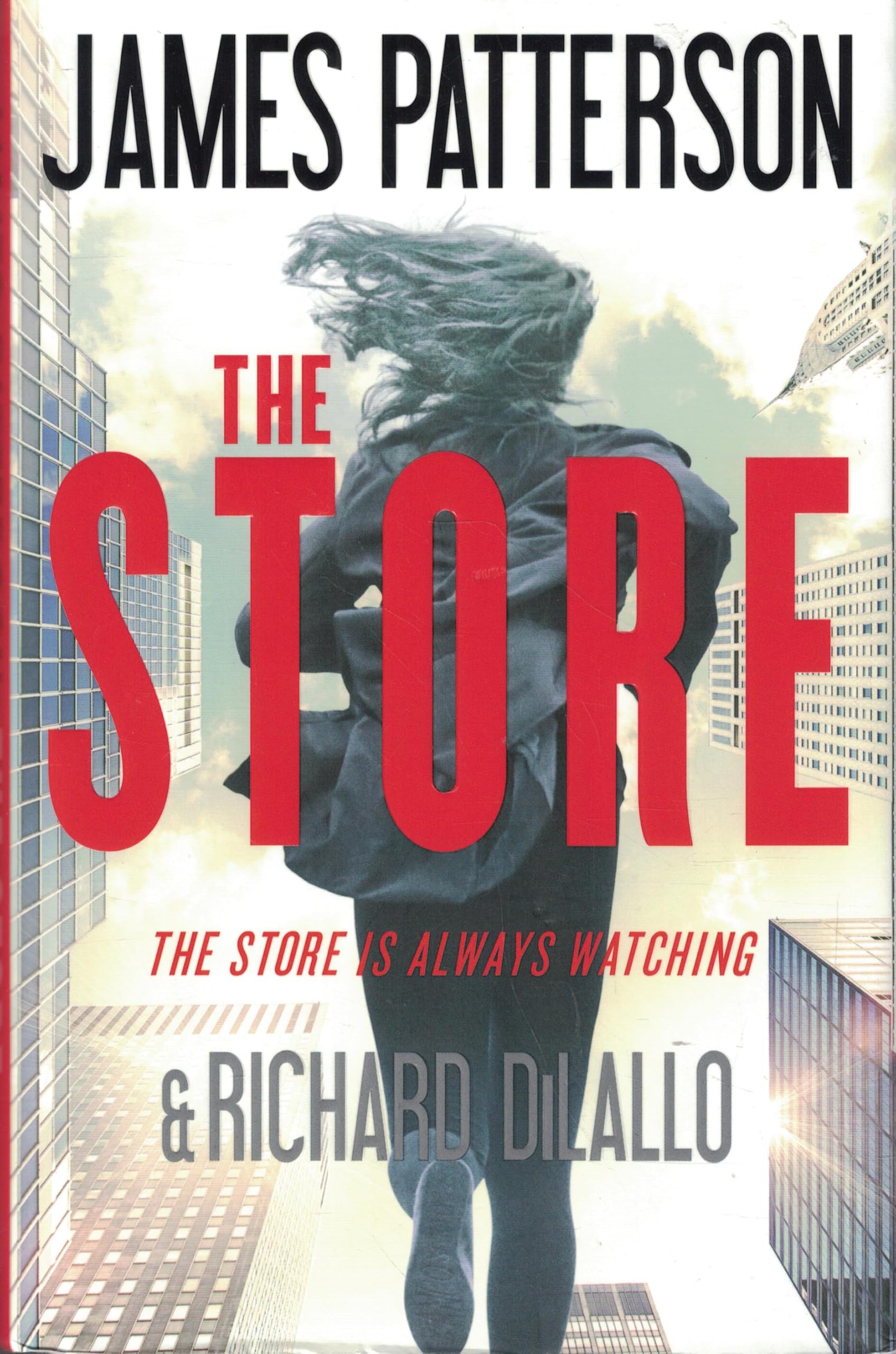 The Store: Patterson, James: 9780316395458: Amazon.com: Books