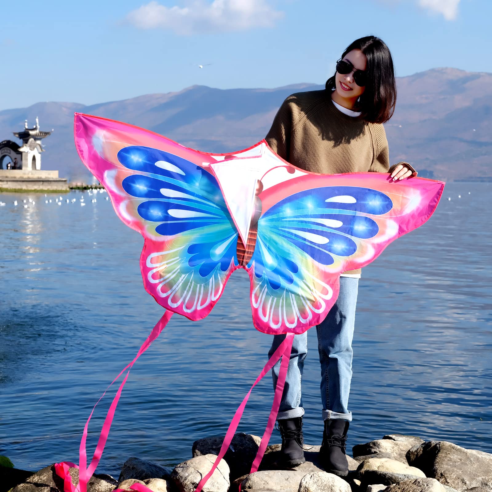 Snapklik.com : Kites For Kids & Adults, Beach Kites Set For Beginners ...