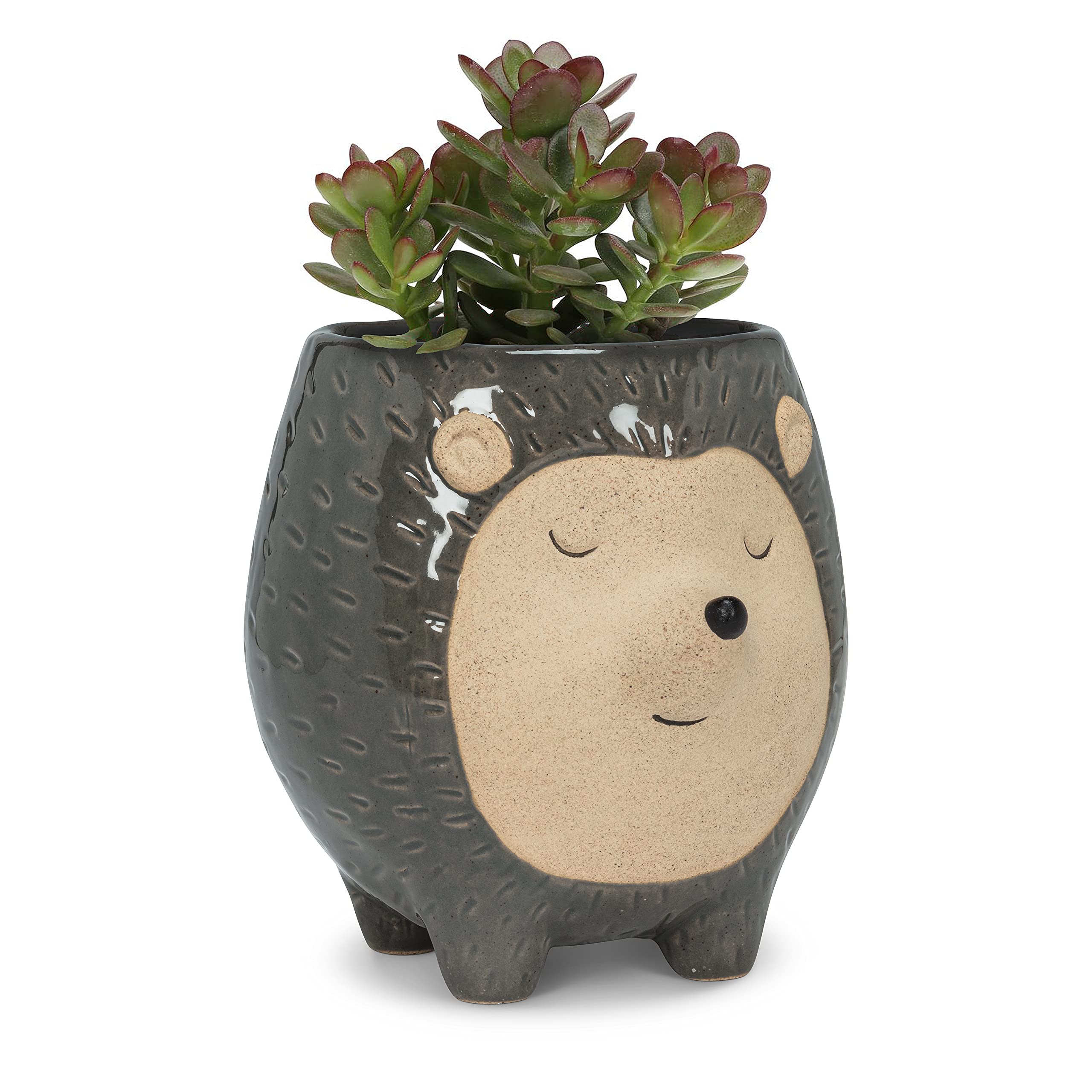 Snapklik.com : Abbott Collection Stoneware Hedgehog Planter - Tall