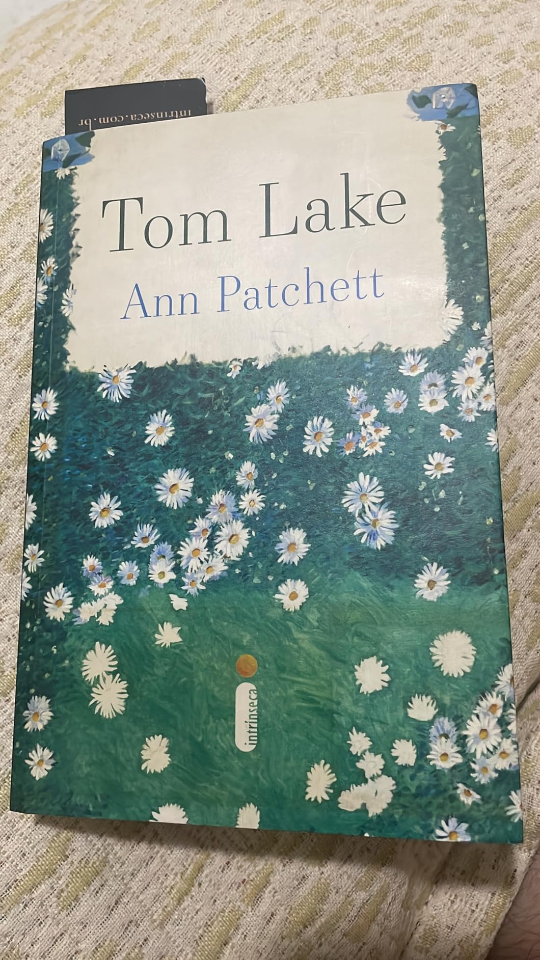 Tom Lake eBook : Patchett, Ann, von Holdefer, Camila: Amazon.com.br ...