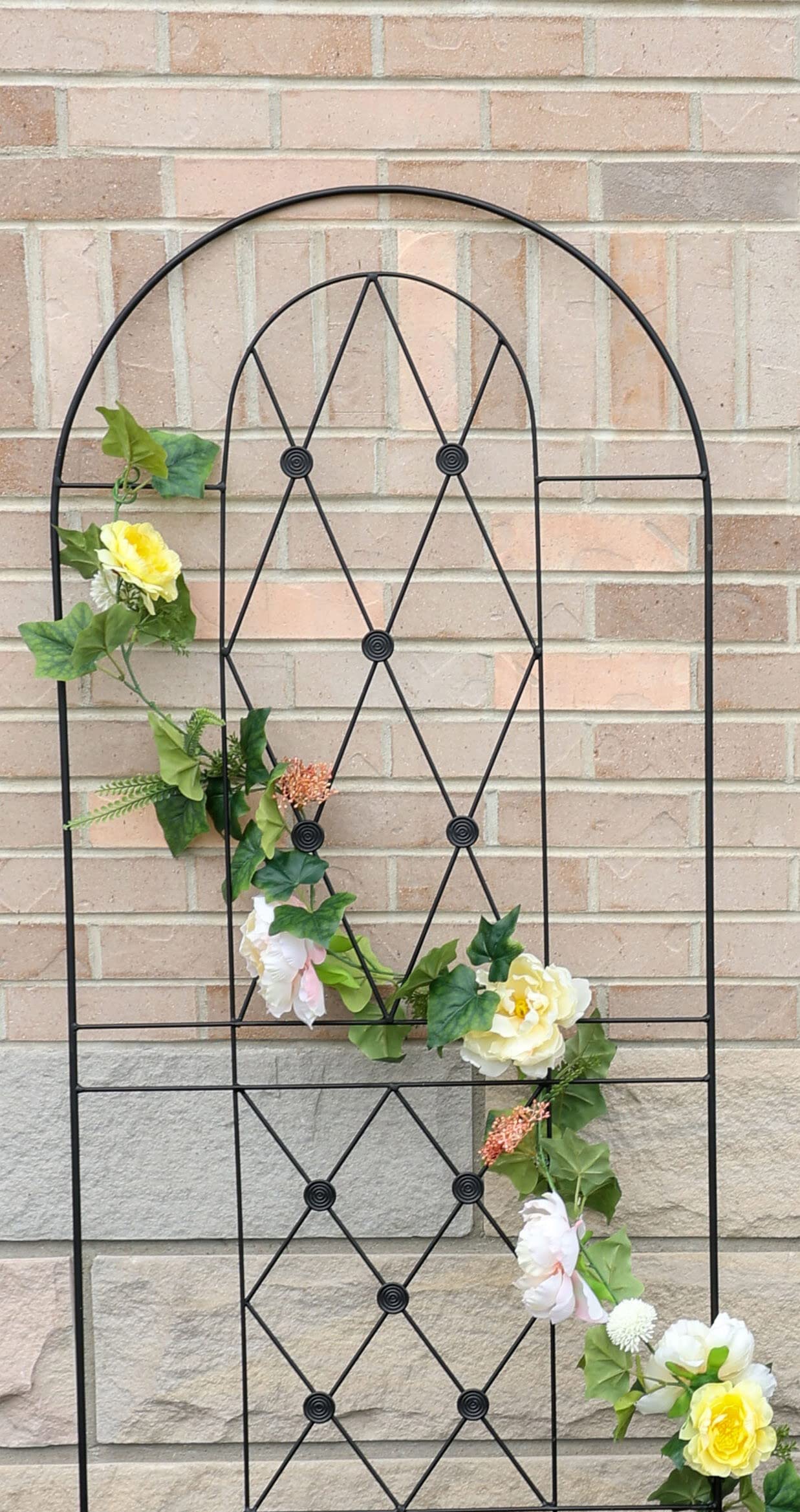 Amazon.com : American Garden Works BT Button Trellis, Black : Patio ...